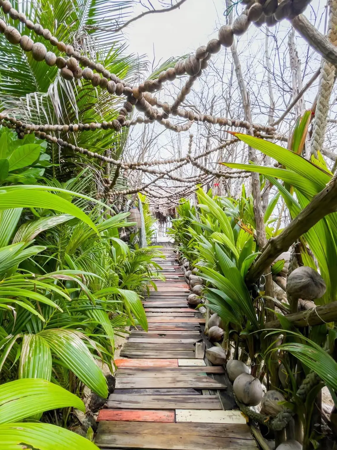 เกาะลับทะเลใต้‼️ เกาะราฮัม Koh rahum | Galeri disiarkan oleh หาที่พัก ...