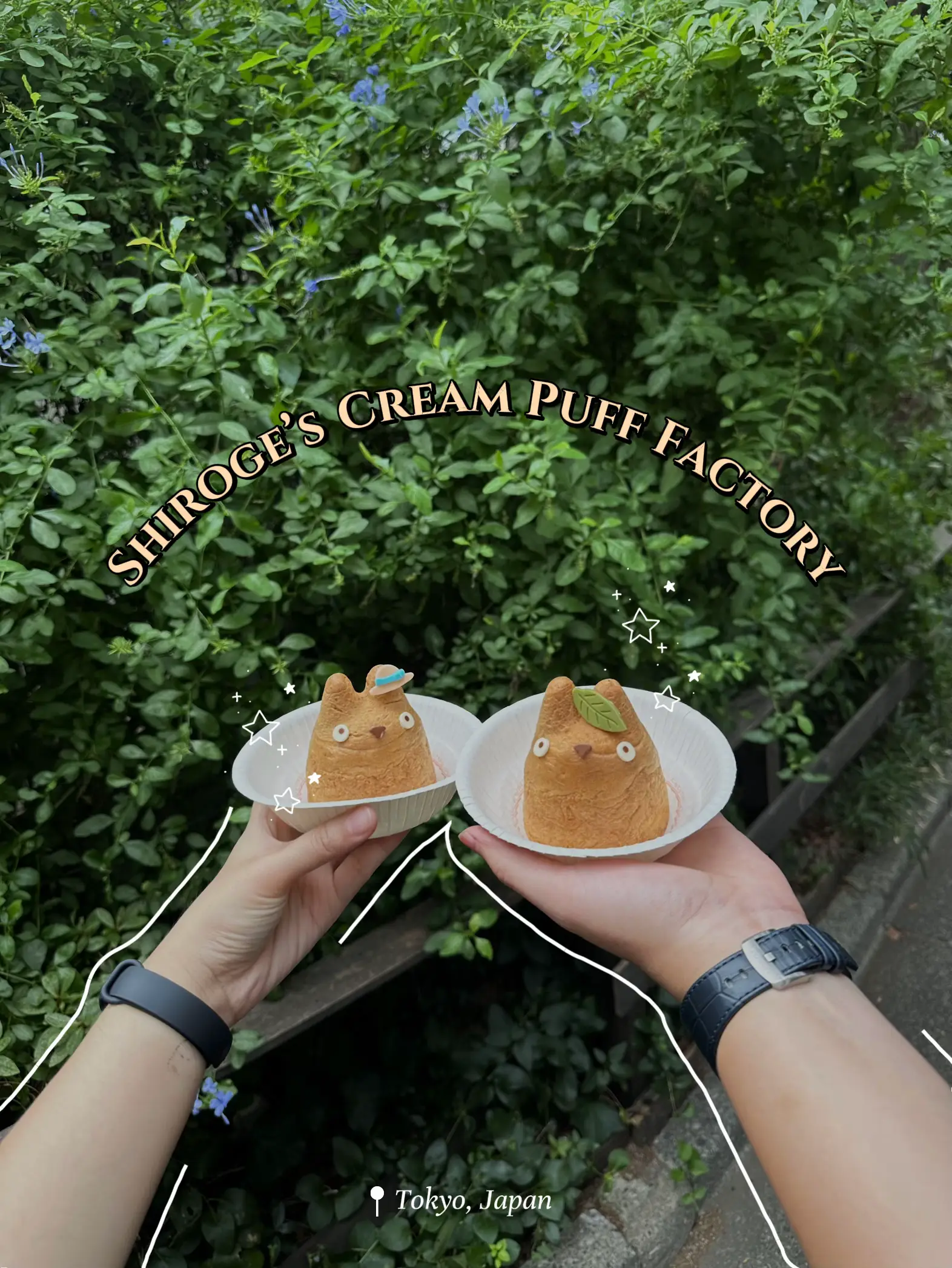 Tokyo Diary: Trying The Viral Totoro Cream Puffs🐈‍⬛ | Gallery posted by ...