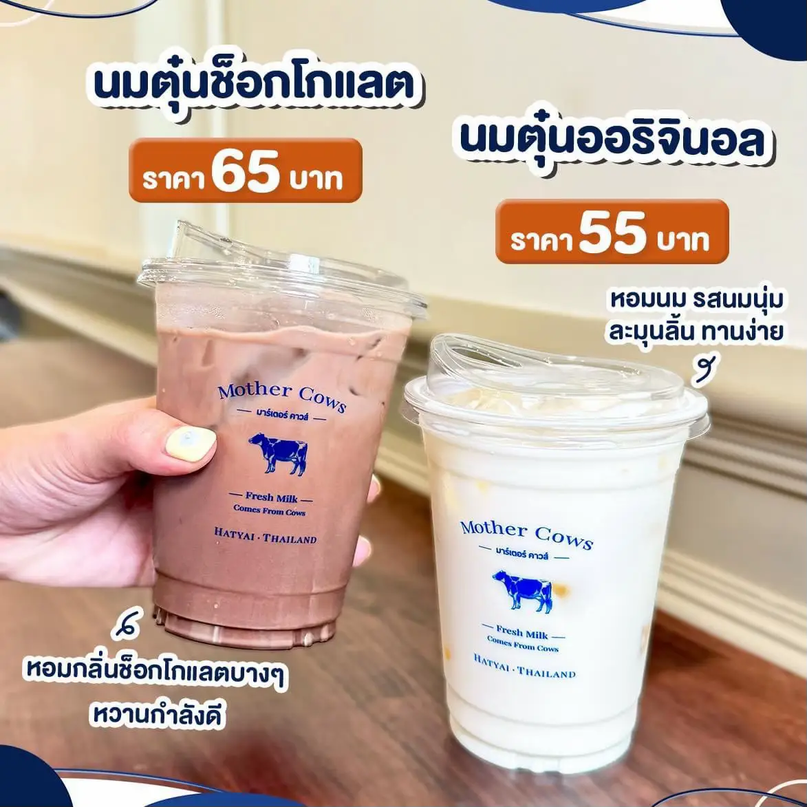 🐄 Mother Cow บุกบรรทัดทองแล้วว | แกลเลอรีที่โพสต์โดย ติดโปร | Lemon8