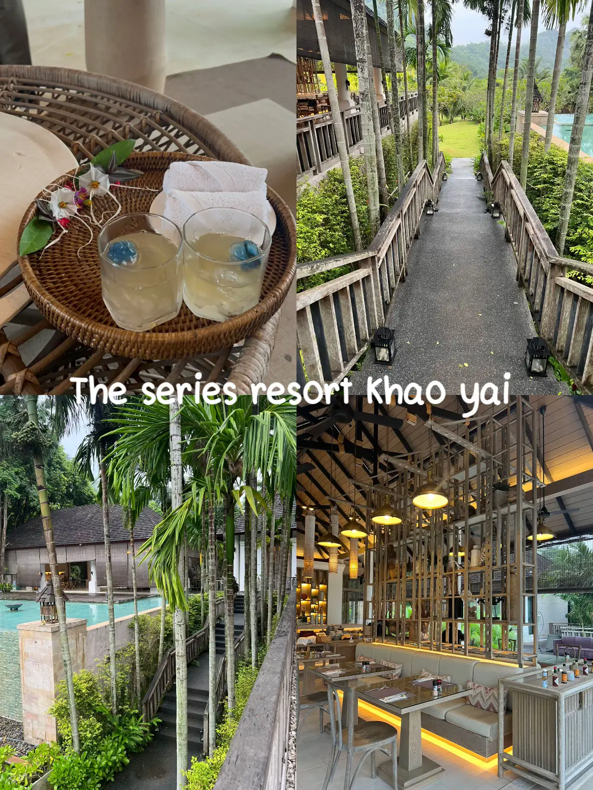The Series Resort Khaoyai - การค้นหาใน Lemon8