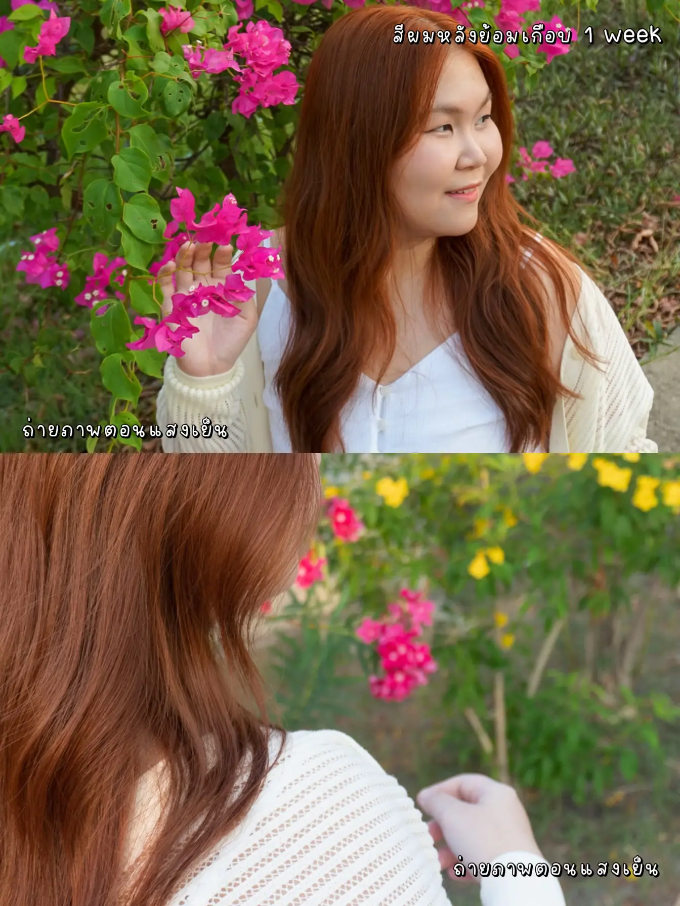 พิกัดสีย้อมผม 2024 Nigao Apricot hair 📌🍊 | แกลเลอรีที่โพสต์โดย Multilda._31 | Lemon8