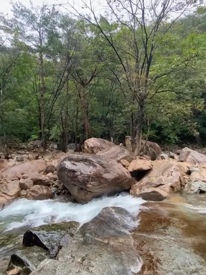 A TRIP TO SEOUL 🇰🇷 | Gallery posted by Xinyii . | Lemon8