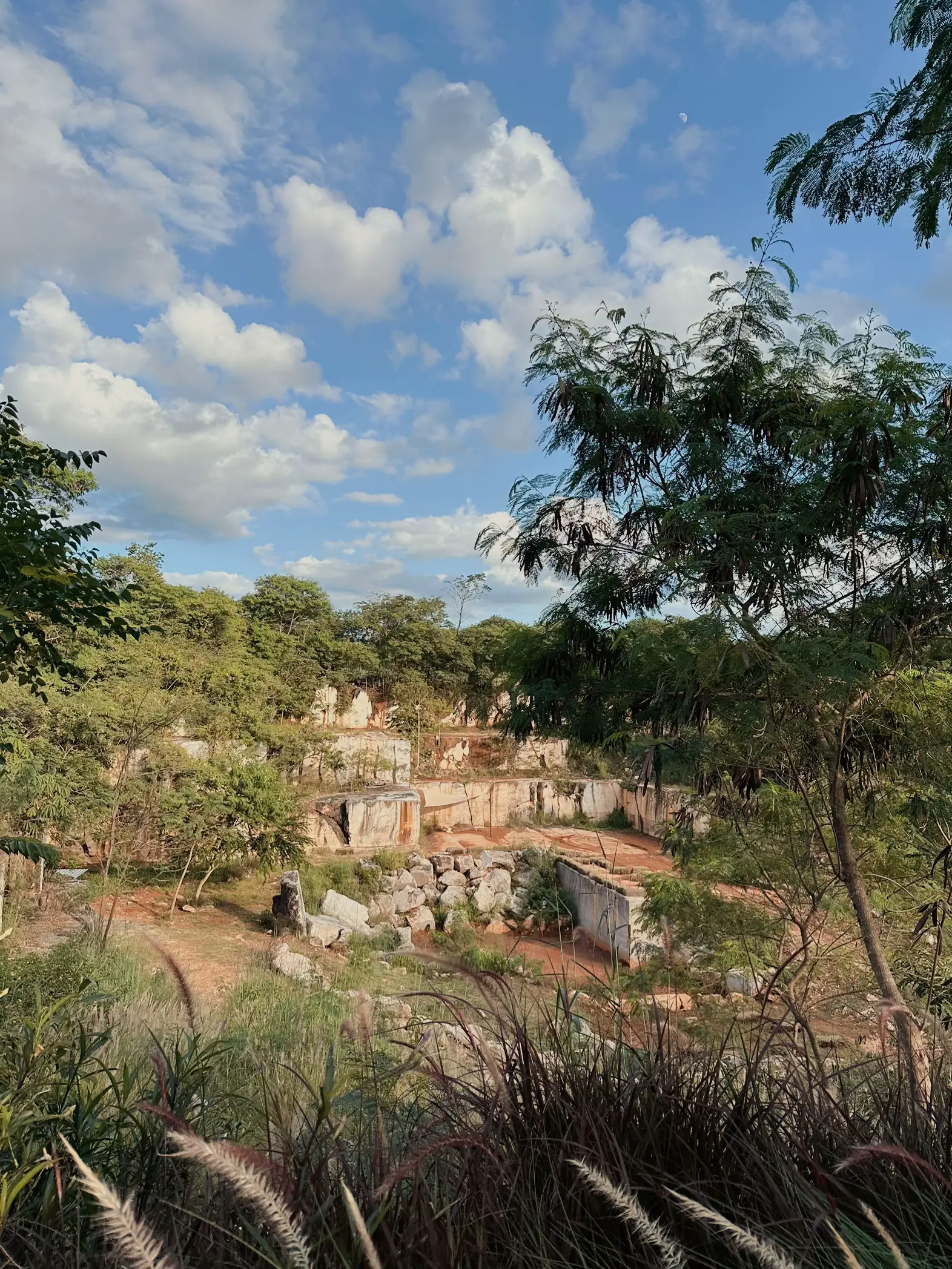 THE CANYON คาเฟ่ รรเปิดใหม่ แนวแคปปิ้งเขาใหญ่⛰️☕️ | แกลเลอรีที่โพสต์โดย ...