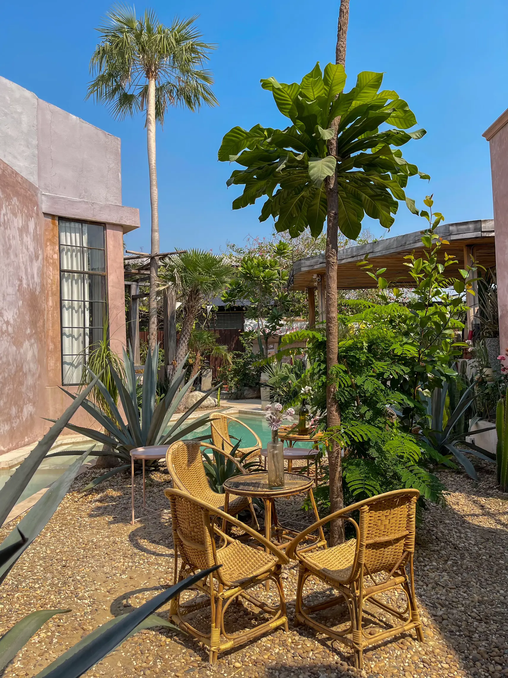 The Carnival BKK | แกลเลอรีที่โพสต์โดย Amm | Lemon8