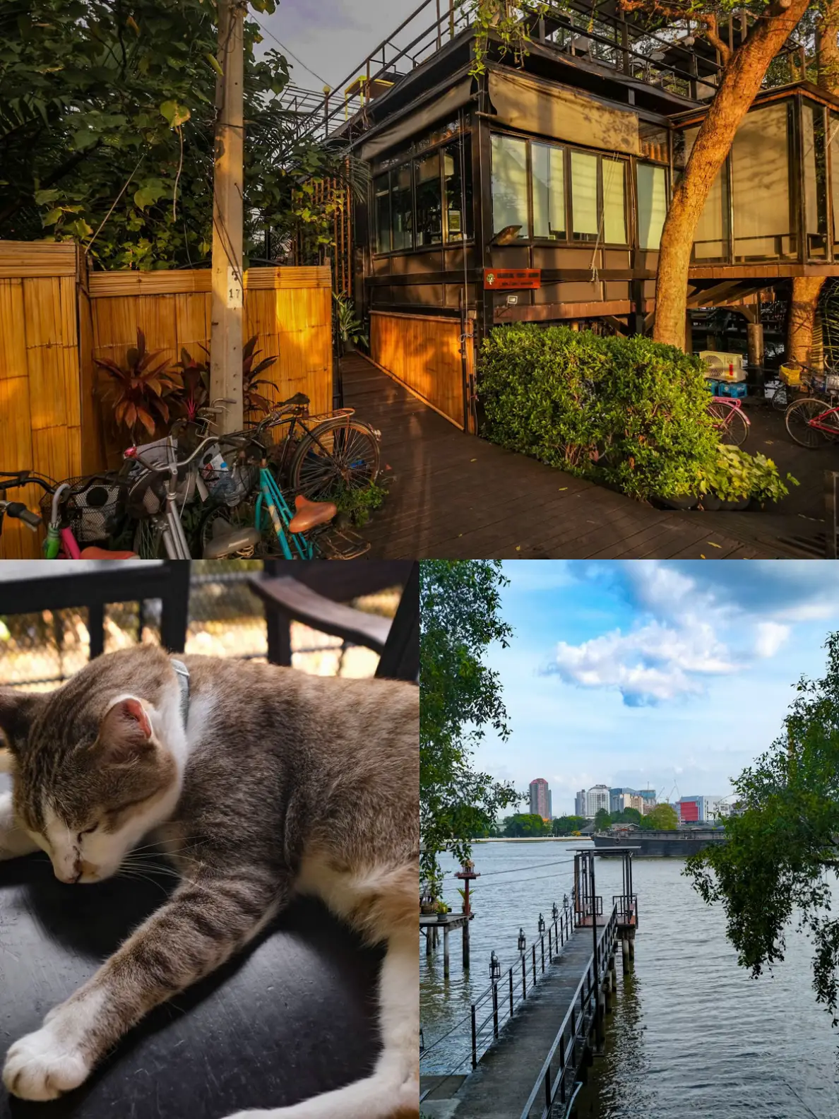 ที่พักใกล้กรุงเทพแบบใกล้ชิดฌรรมชาติ 🥰🍃 | แกลเลอรีที่โพสต์โดย Dance’s Day off | Lemon8