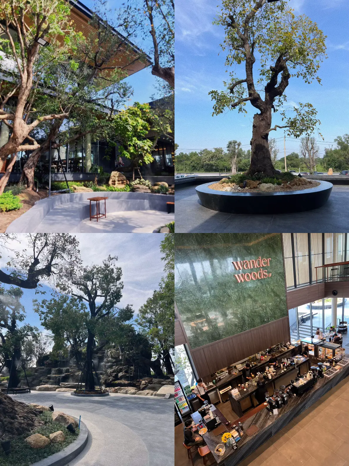 Wander Woods คาเฟ่เปิดใหม่ใหญ่อลังการ อาหารก็ปัง ขนมก็เริ่ด | แกลเลอรี ...