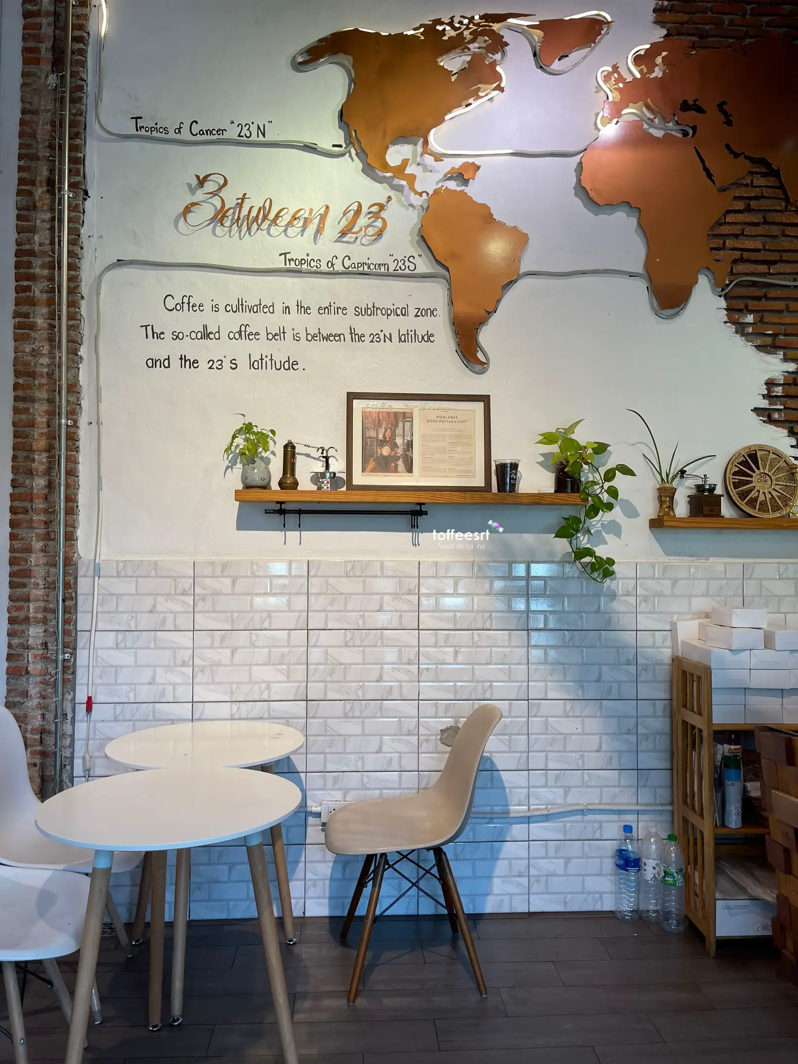 คาเฟ่มหาชัย Specialty Coffee ดีกรีแชมป์เอสเพรสโซ่เย็น | แกลเลอรีที่โพสต์โดย toffeesrt | Lemon8