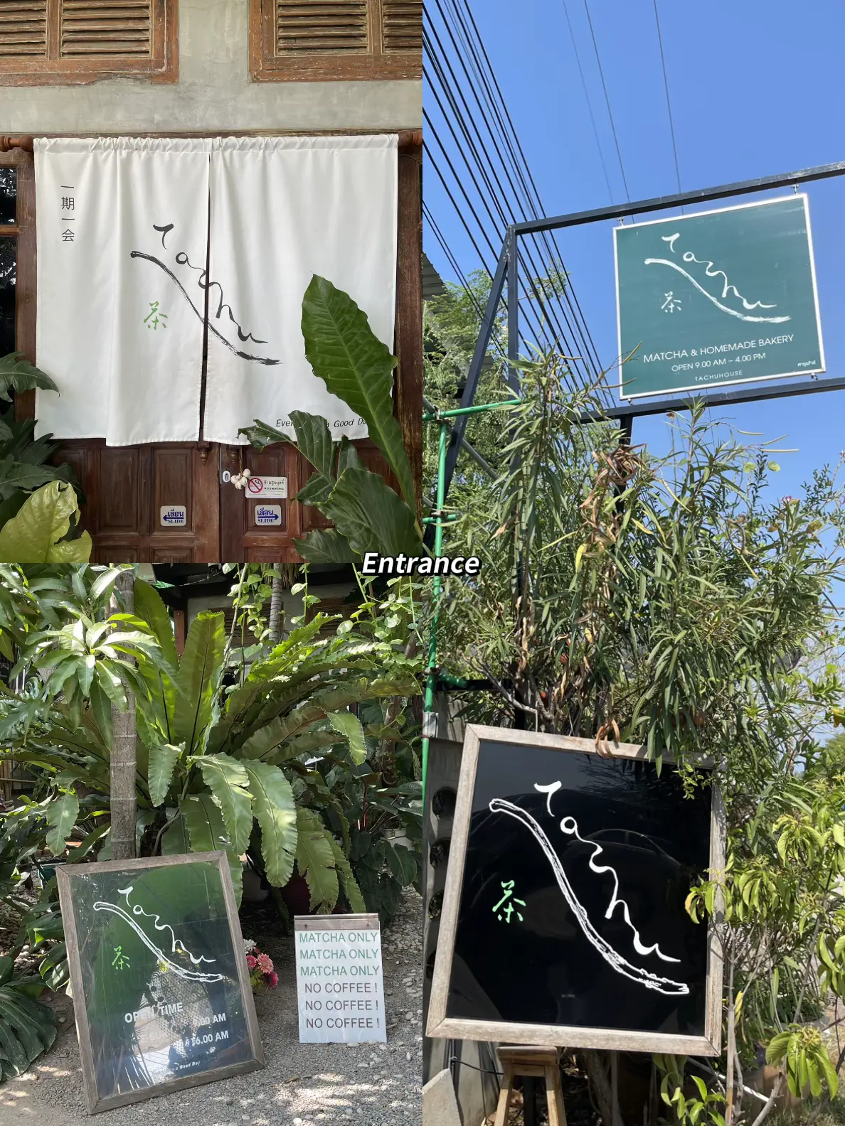 📍พิกัดร้านมัทฉะ สมุทรสาคร 💚Tachu House🌱 ถูกใจสายเขียว🥰 | แกลเลอรีที่ ...