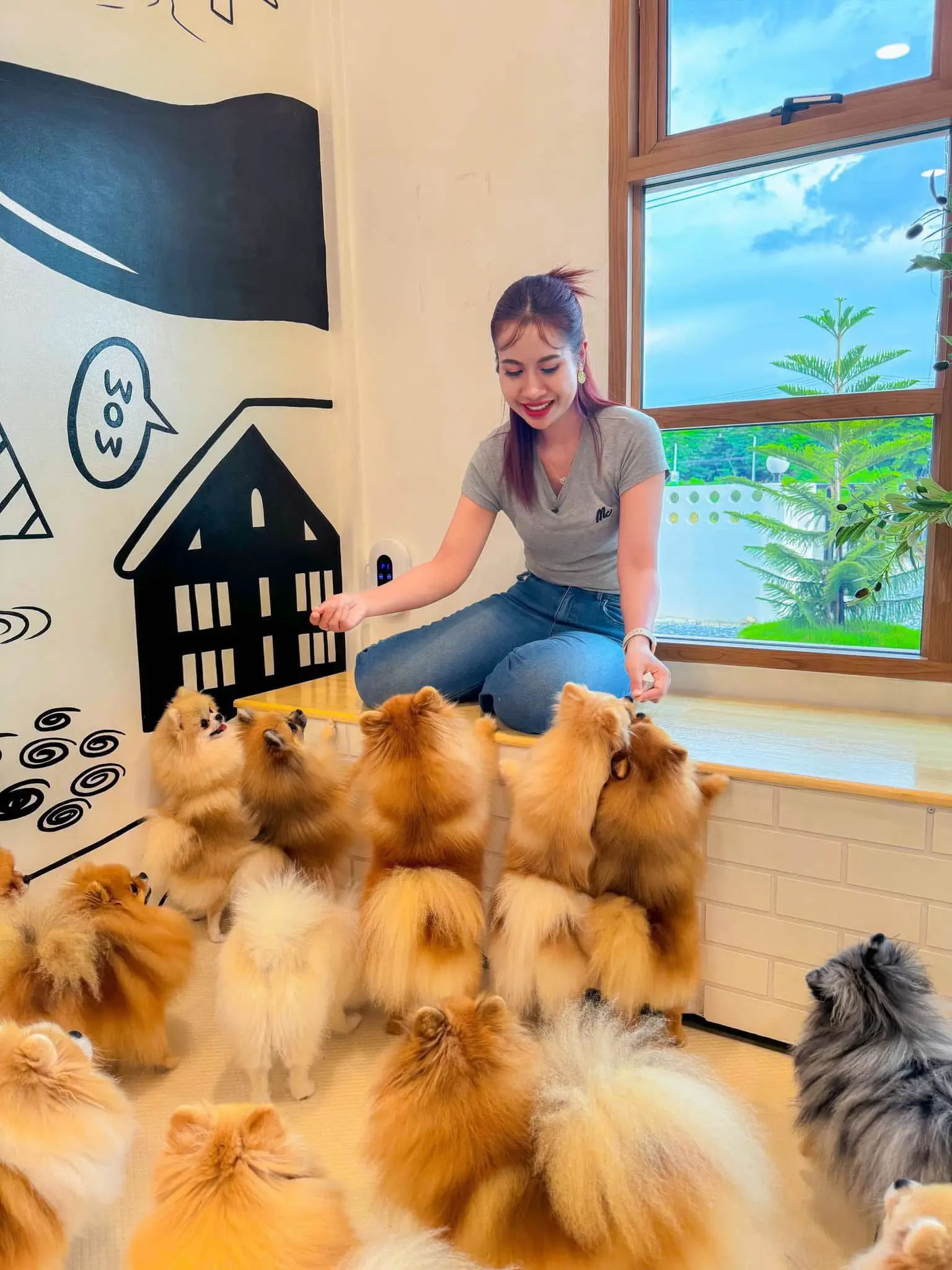 คาเฟ่น้องหมา นครปฐม 🐶 ️ Happy Pom Dog Cafe | แกลเลอรีที่โพสต์โดย TripTH ...