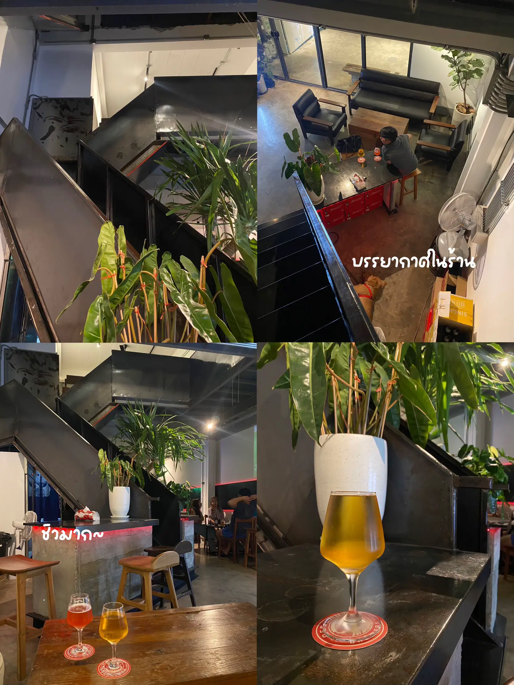 ร้านเบียร์คราฟ ลับๆ ในสุพรรณ 😛💥 | แกลเลอรีที่โพสต์โดย Nipas.k | Lemon8