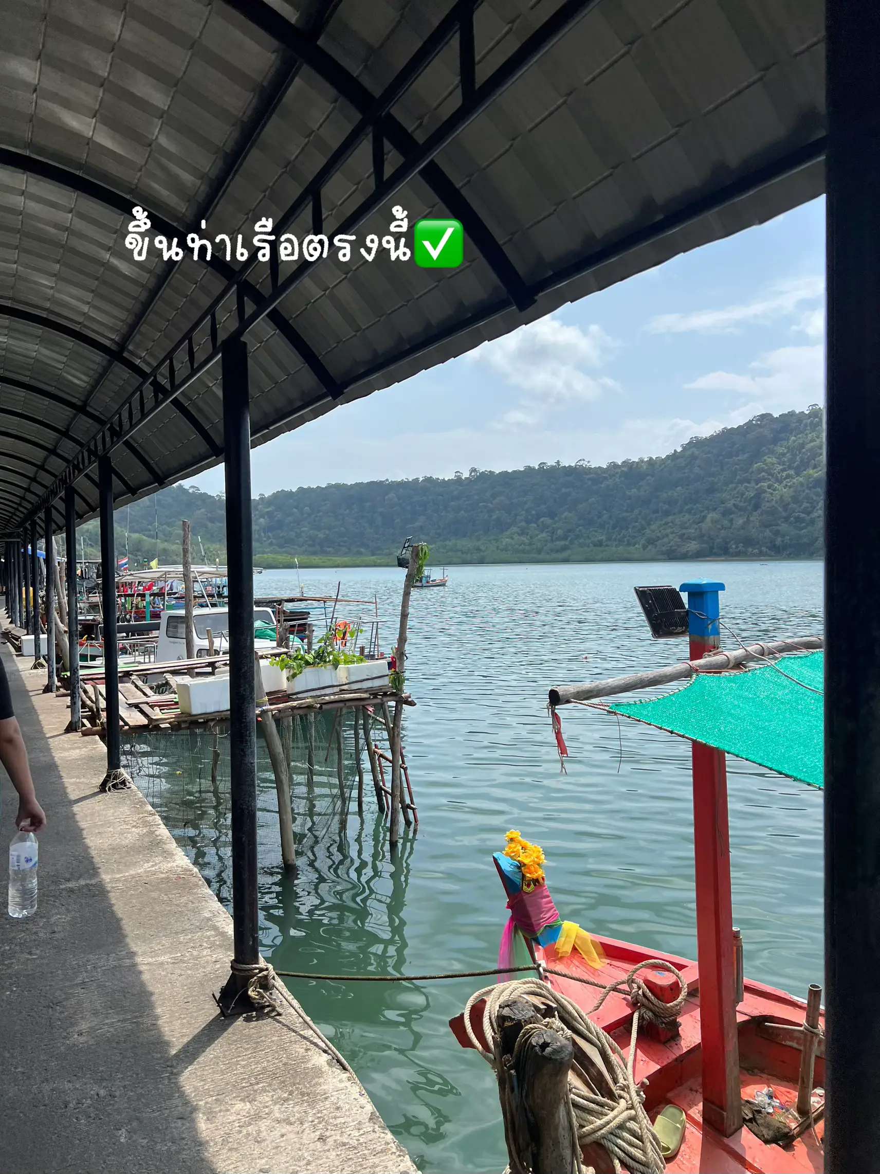 ดำน้ำกับปู่พาเที่ยว 🤿🐠 | แกลเลอรีที่โพสต์โดย Jakwa🦒 | Lemon8