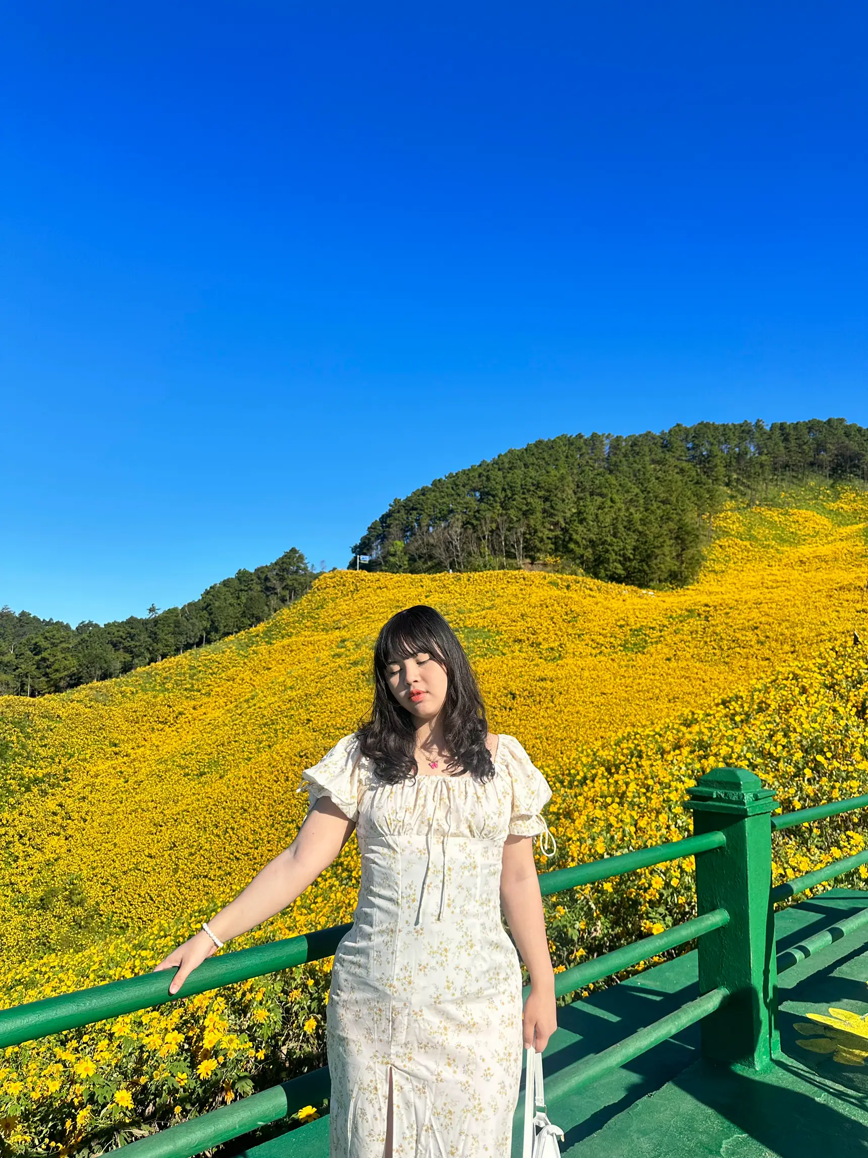 ทุ่งบัวตองดอยแม่อูคอ | แกลเลอรีที่โพสต์โดย CH OM | Lemon8