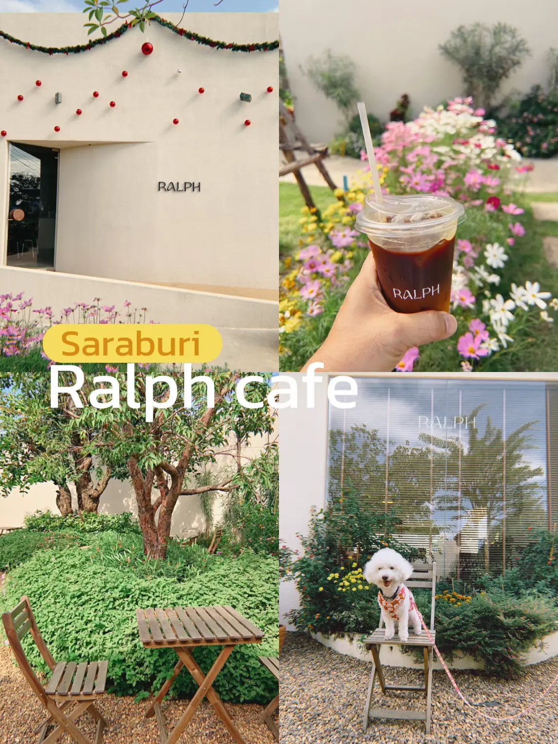 Ralph cafe | แกลเลอรีที่โพสต์โดย Shabu.family💕 | Lemon8