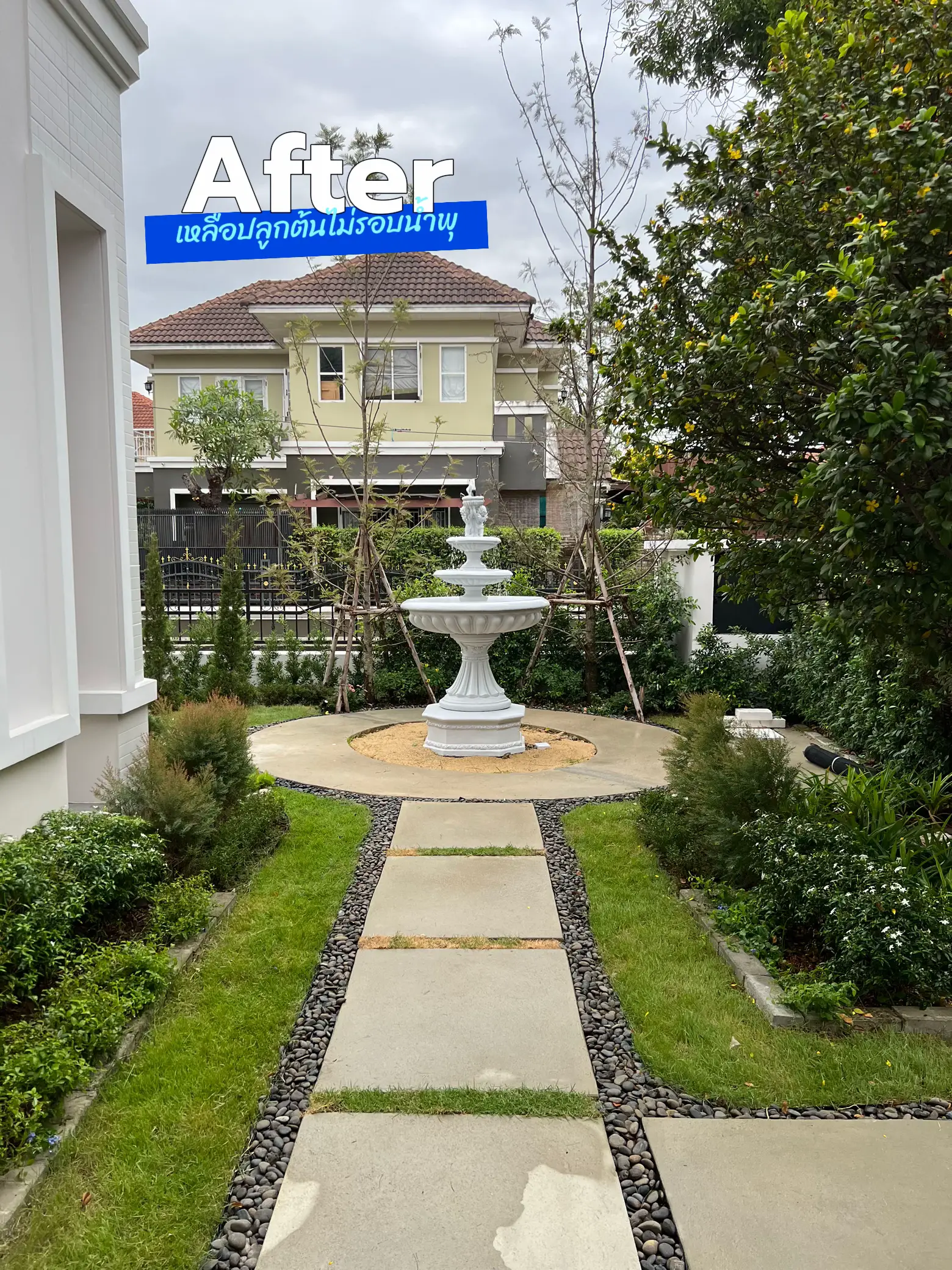 เปลี่ยนสวนร้างเป็นสวนหรู ด้วยตัวเอง แกลเลอรีที่โพสต์โดย Ball Seeview Lemon8