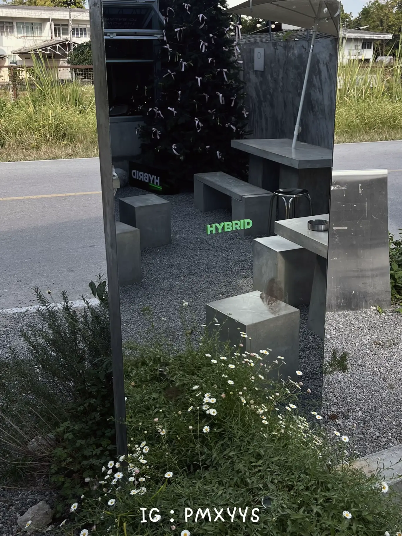 คาเฟ่เชียงใหม่ โทนเขียวต้อนรับคริสมาส🎄 | แกลเลอรีที่โพสต์โดย Pannaphat | Lemon8