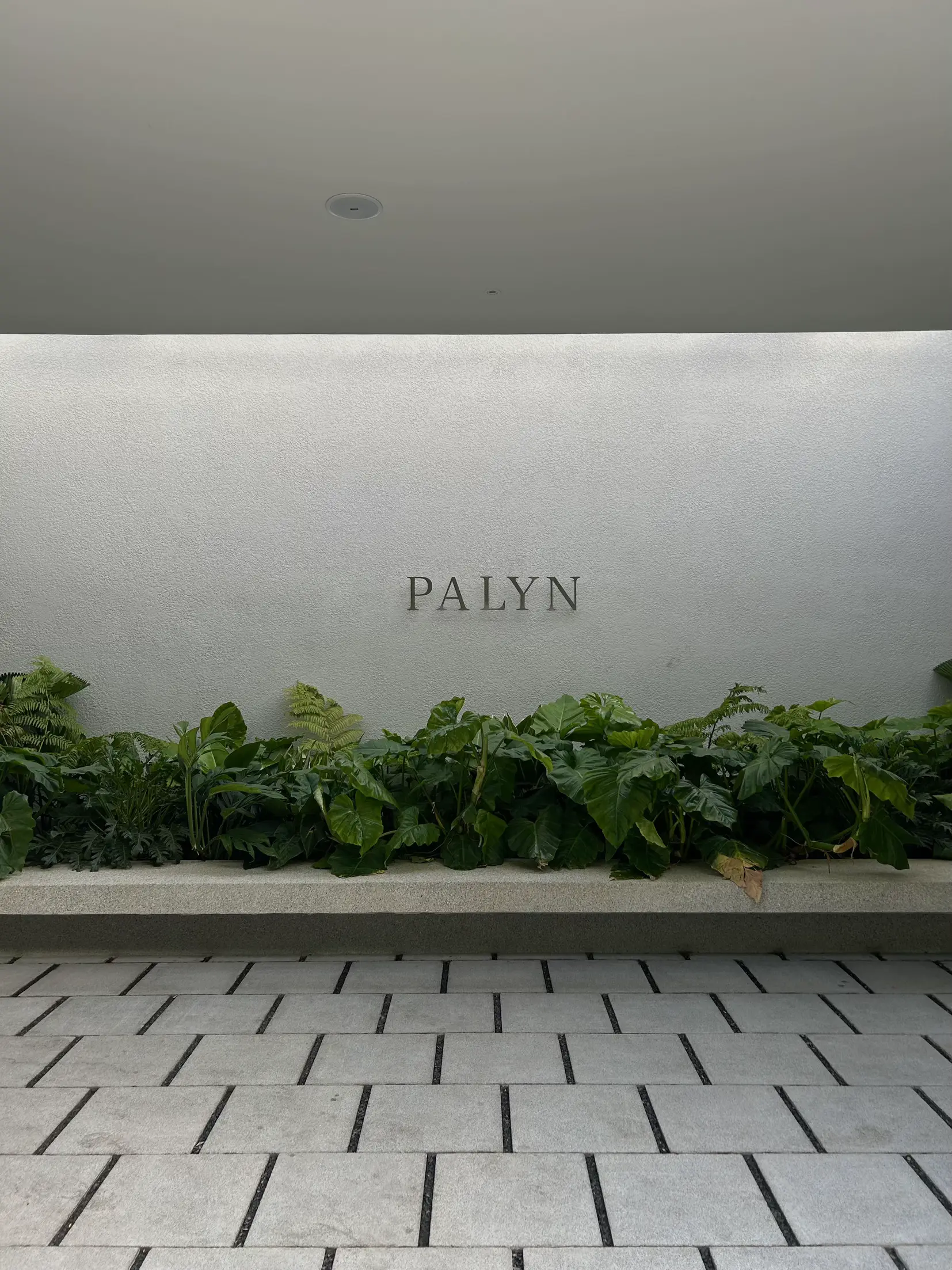 PALYN - ปาลิณ คาเฟ่ Mood :D ที่แสมสาร ☀️🌅⛵️ | แกลเลอรีที่โพสต์โดย ...