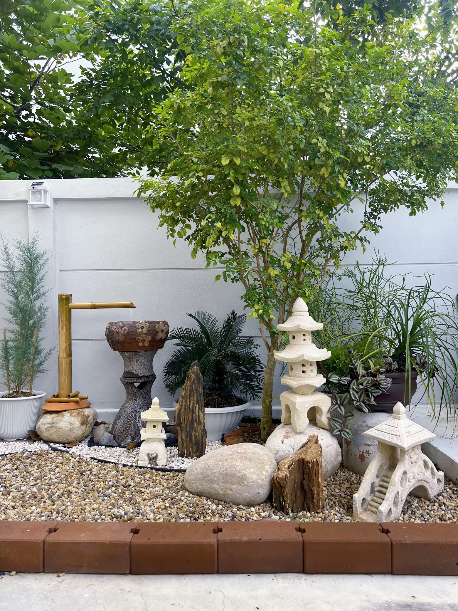 จัดสวนญี่ปุ่น มุมเล็กๆข้างบ้าน | แกลเลอรีที่โพสต์โดย TP Studio Home | Lemon8