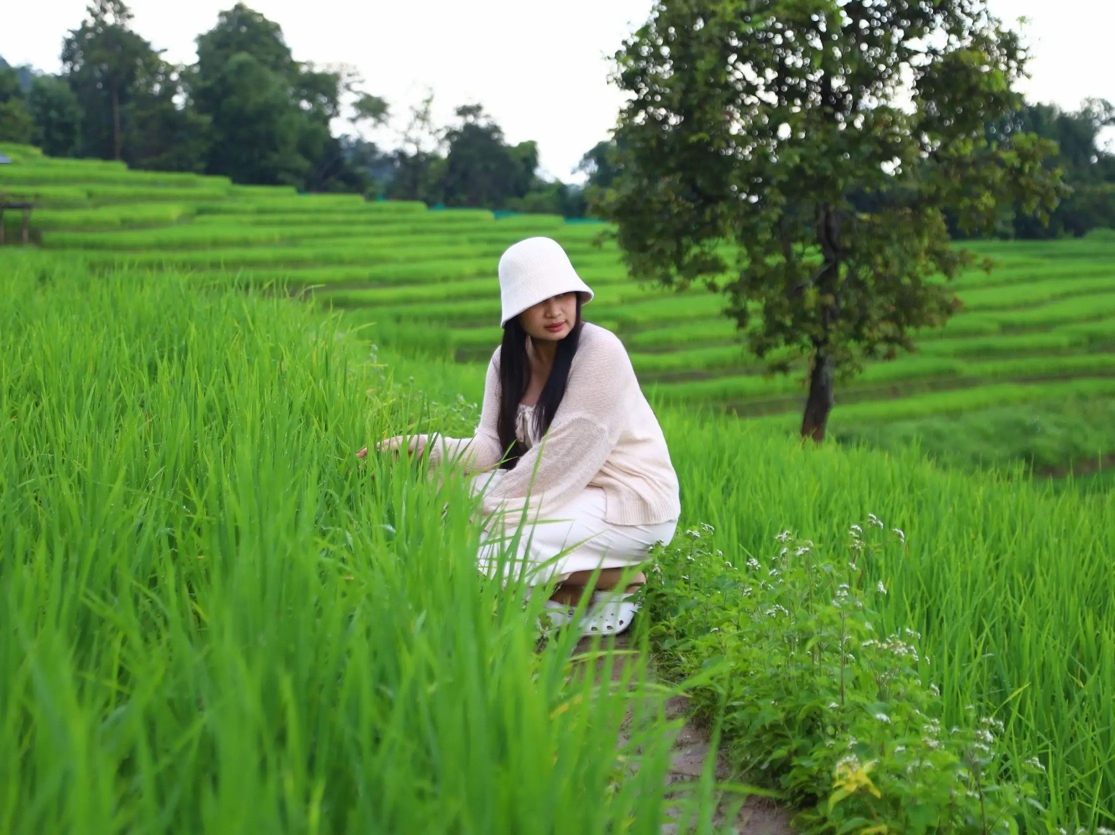 นาขั้นบันได ป่าบงเปียง | Gallery posted by Tookkata | Lemon8