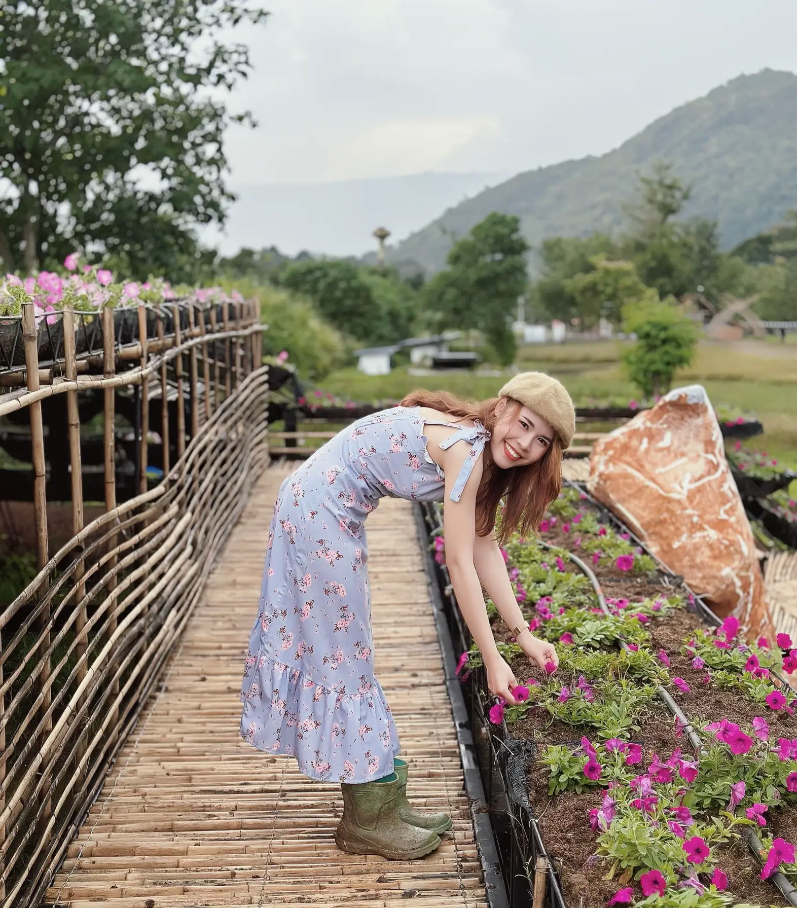 Secret Flower Khaoyai ทุ่งดอกไม้เขาใหญ่🪻 | แกลเลอรีที่โพสต์โดย ...