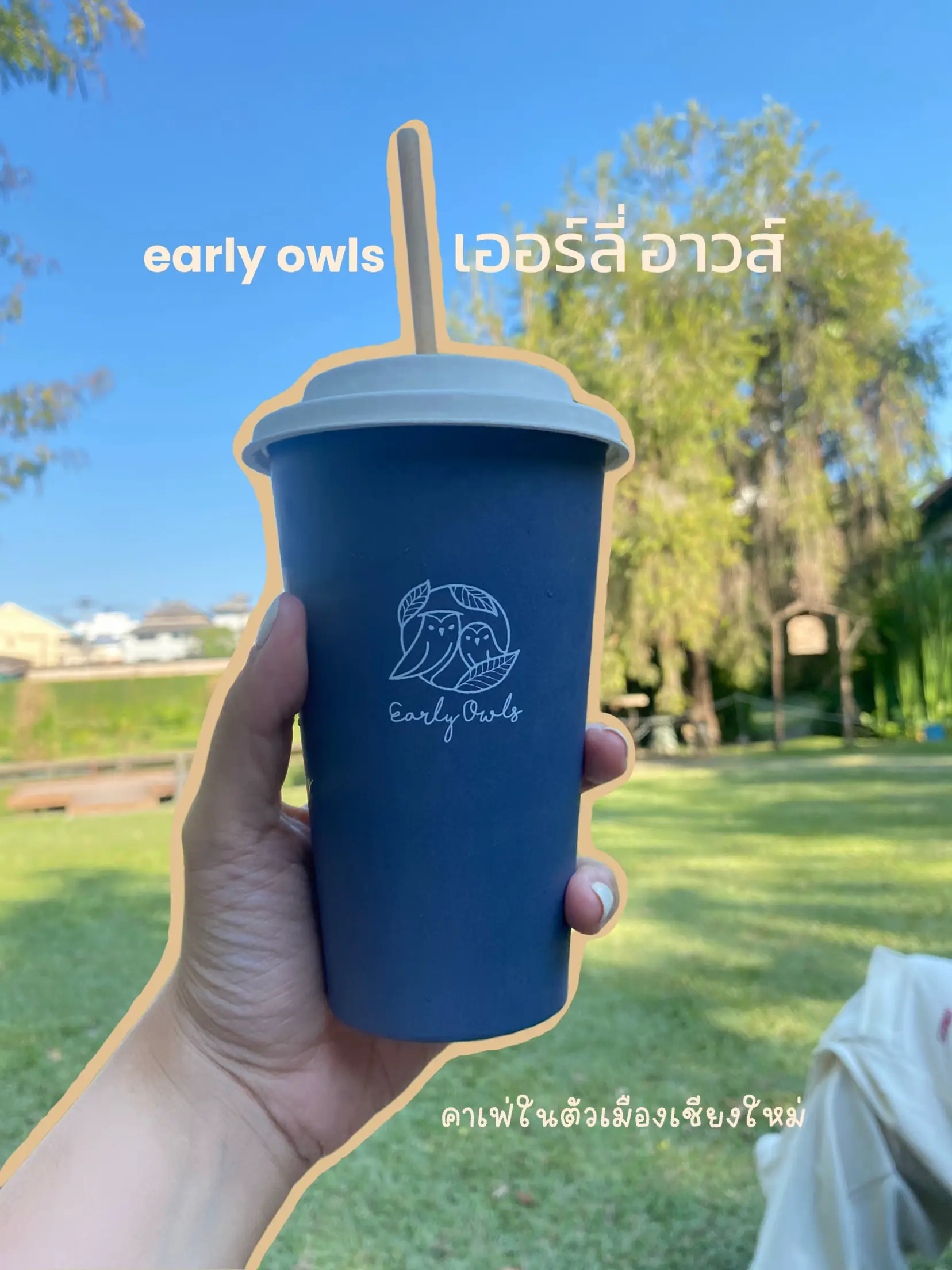 early owls・เออร์ลี่ อาวส์ | แกลเลอรีที่โพสต์โดย Happyday!! | Lemon8