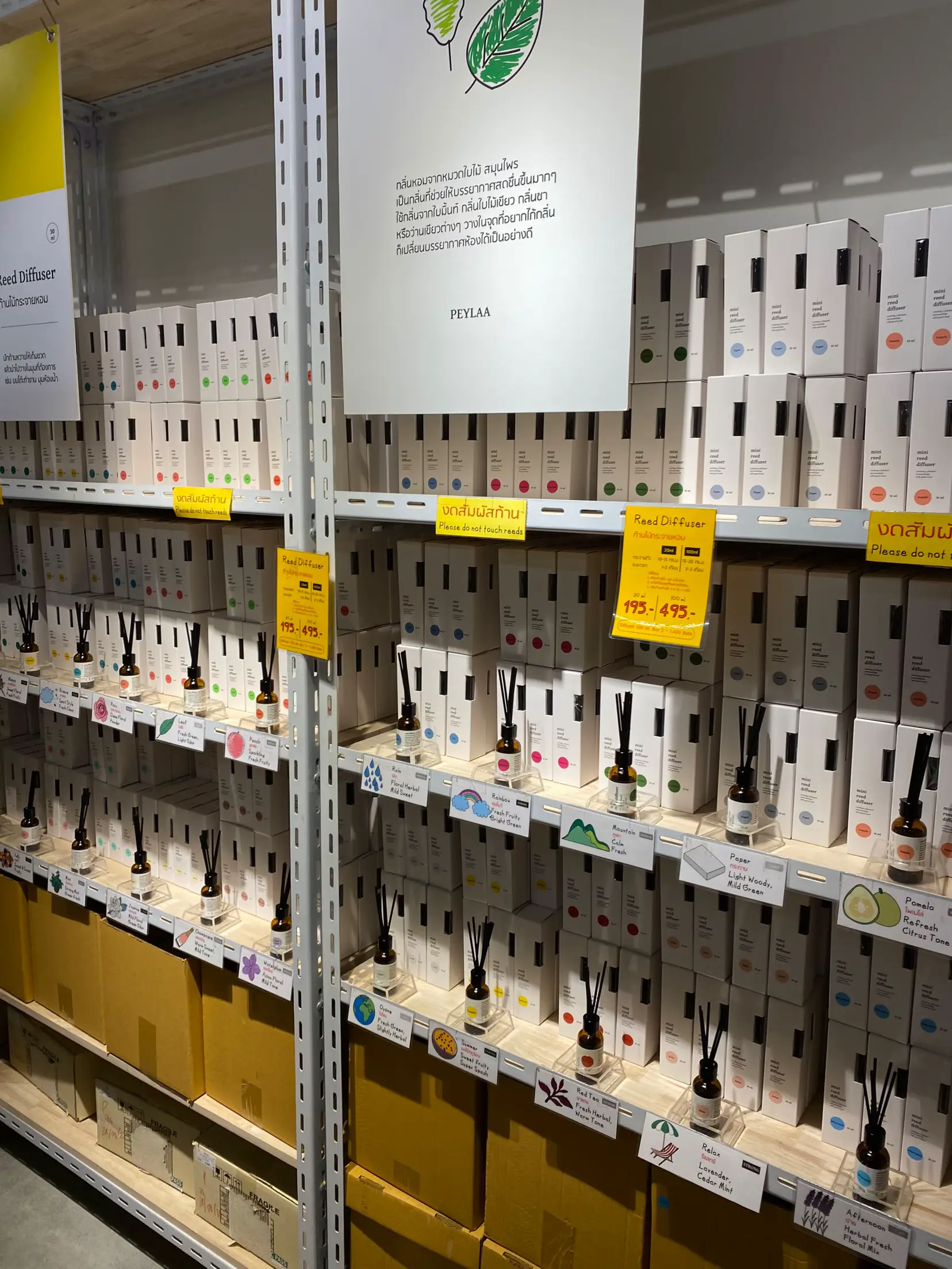 พาไปเดิน Peylaa💥🦖ของน่ารักเต็มไปหมดดด | แกลเลอรีที่โพสต์โดย ppdararat ...