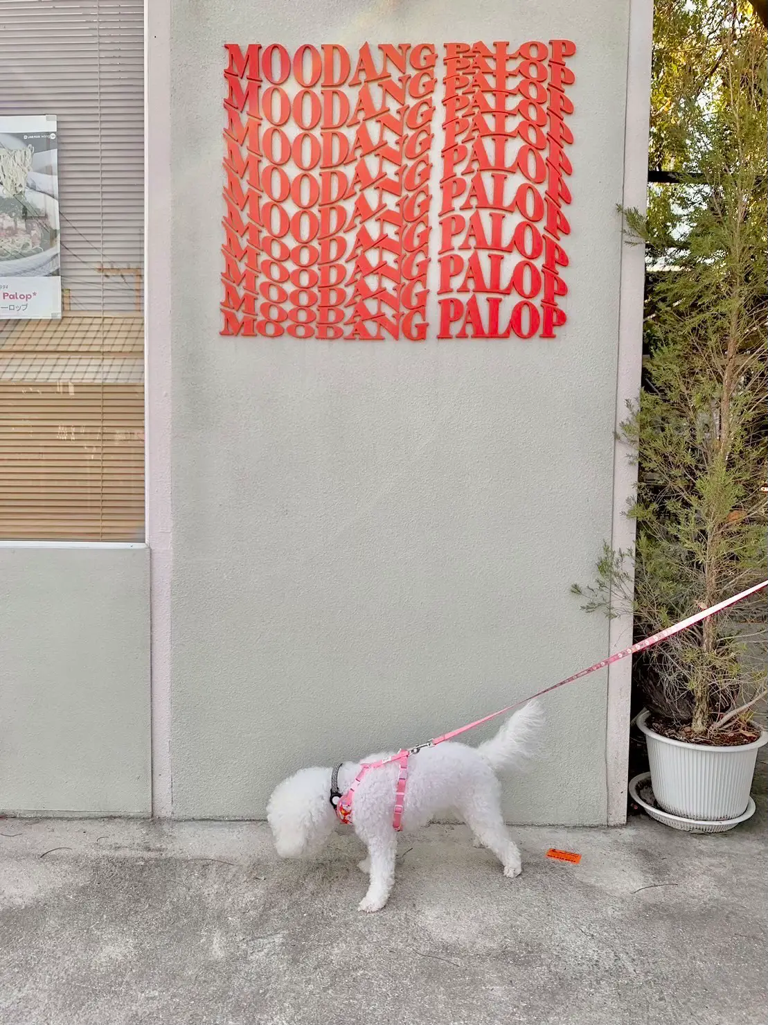 หมูแดงป้าลบ (Moodang Palop) สาขาบางแสน Pet Friendly | แกลเลอรีที่โพสต์ ...