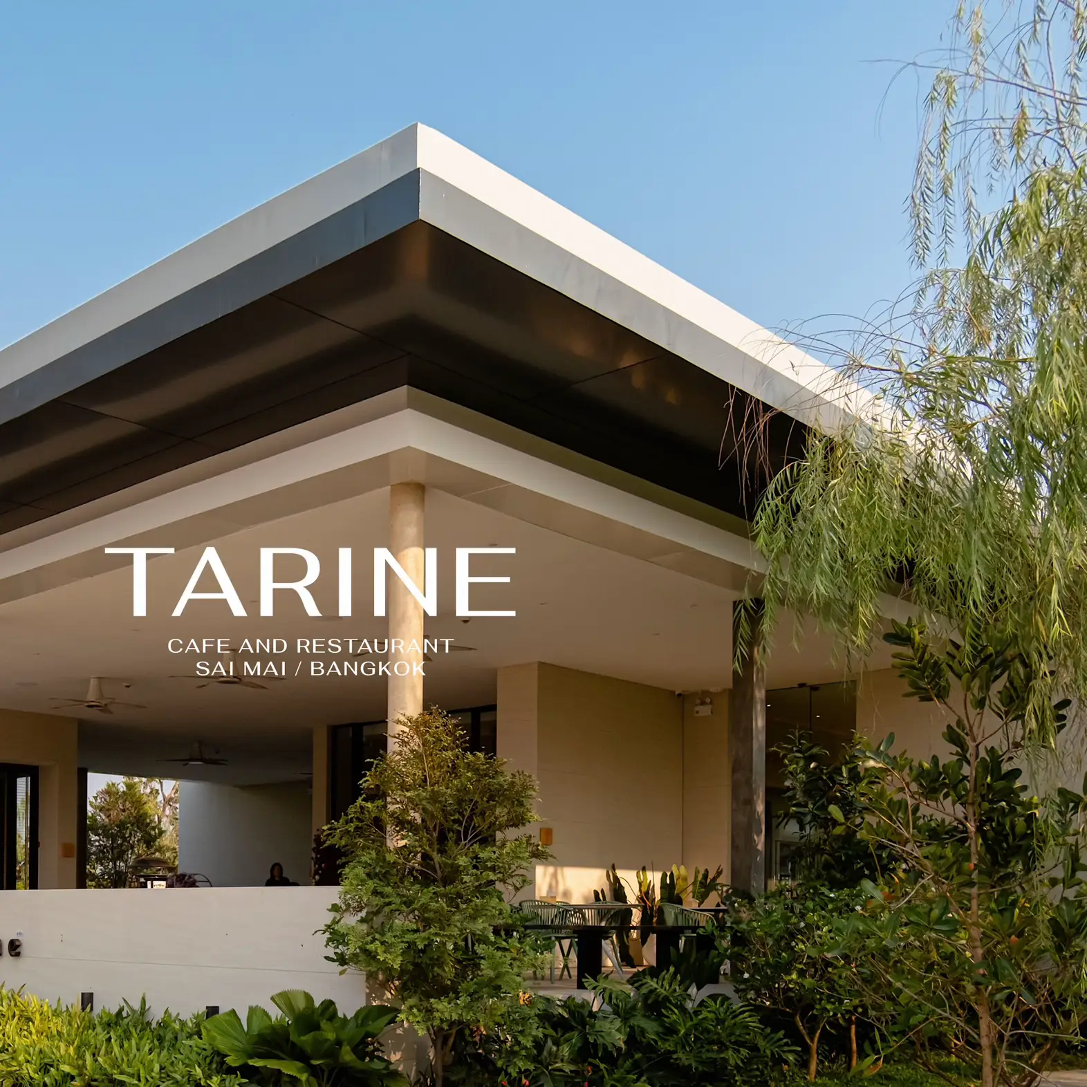 Tarine 🌳🍃☕️ | แกลเลอรีที่โพสต์โดย คาเฟ่ไปเรื่อย | Lemon8