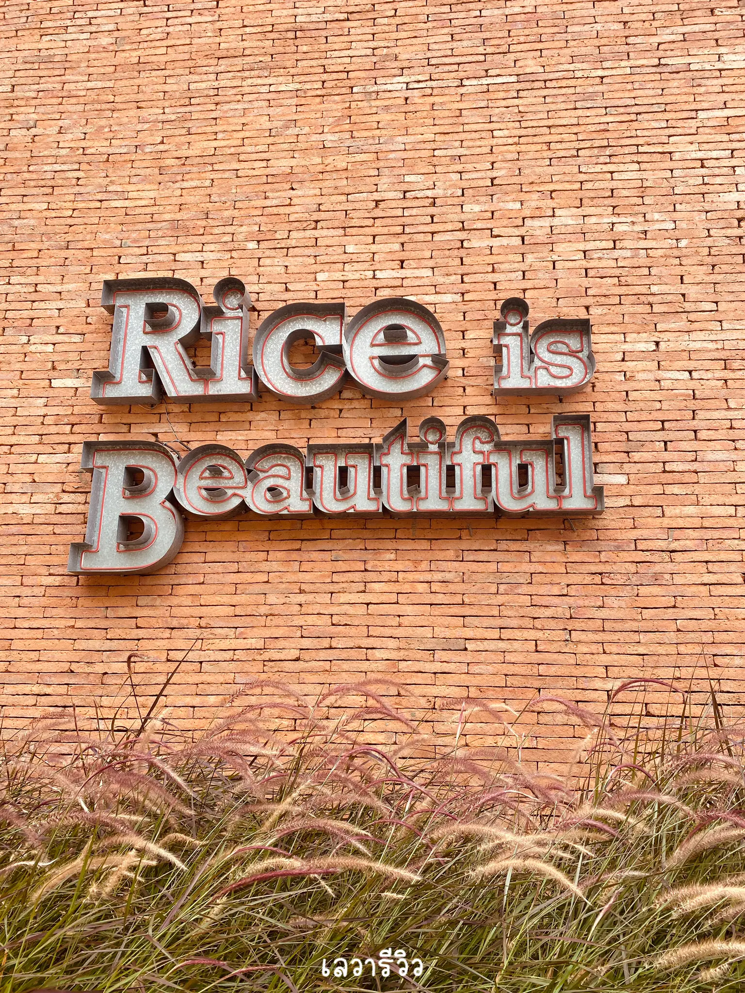 #เลวาพาเที่ยว คาเฟ่ฉะเชิงเทรา แต่เหมือนเราอยู่เขาใหญ่?!! 🌾 | แกลเลอรีที่โพสต์โดย Laywa | Lemon8