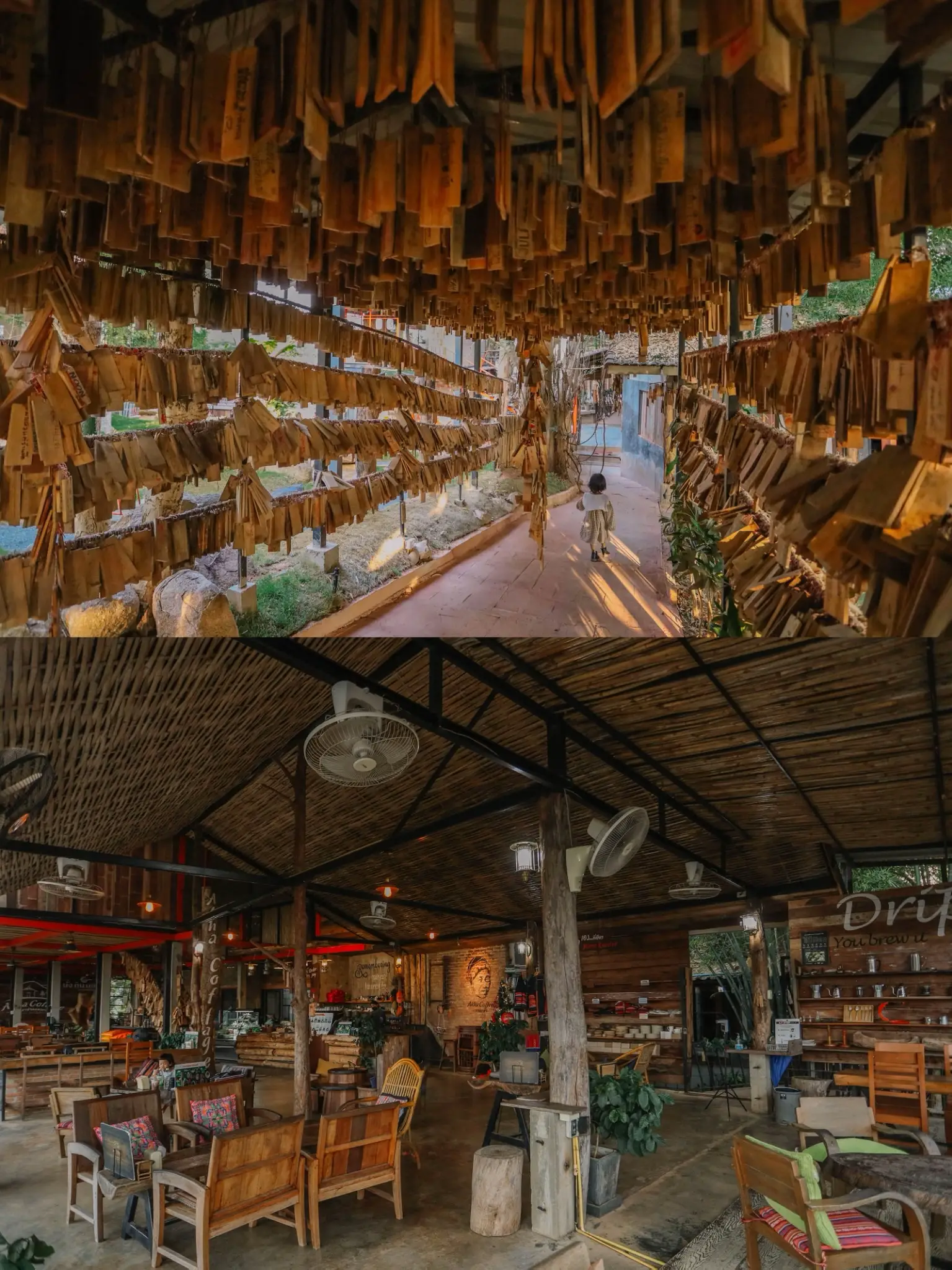 🐑🐏ที่อาข่า คอทเทจ Akha Cottage คาเฟ่ลับๆ เจียงฮาย 🌲 | แกลเลอรีที่โพสต์ ...