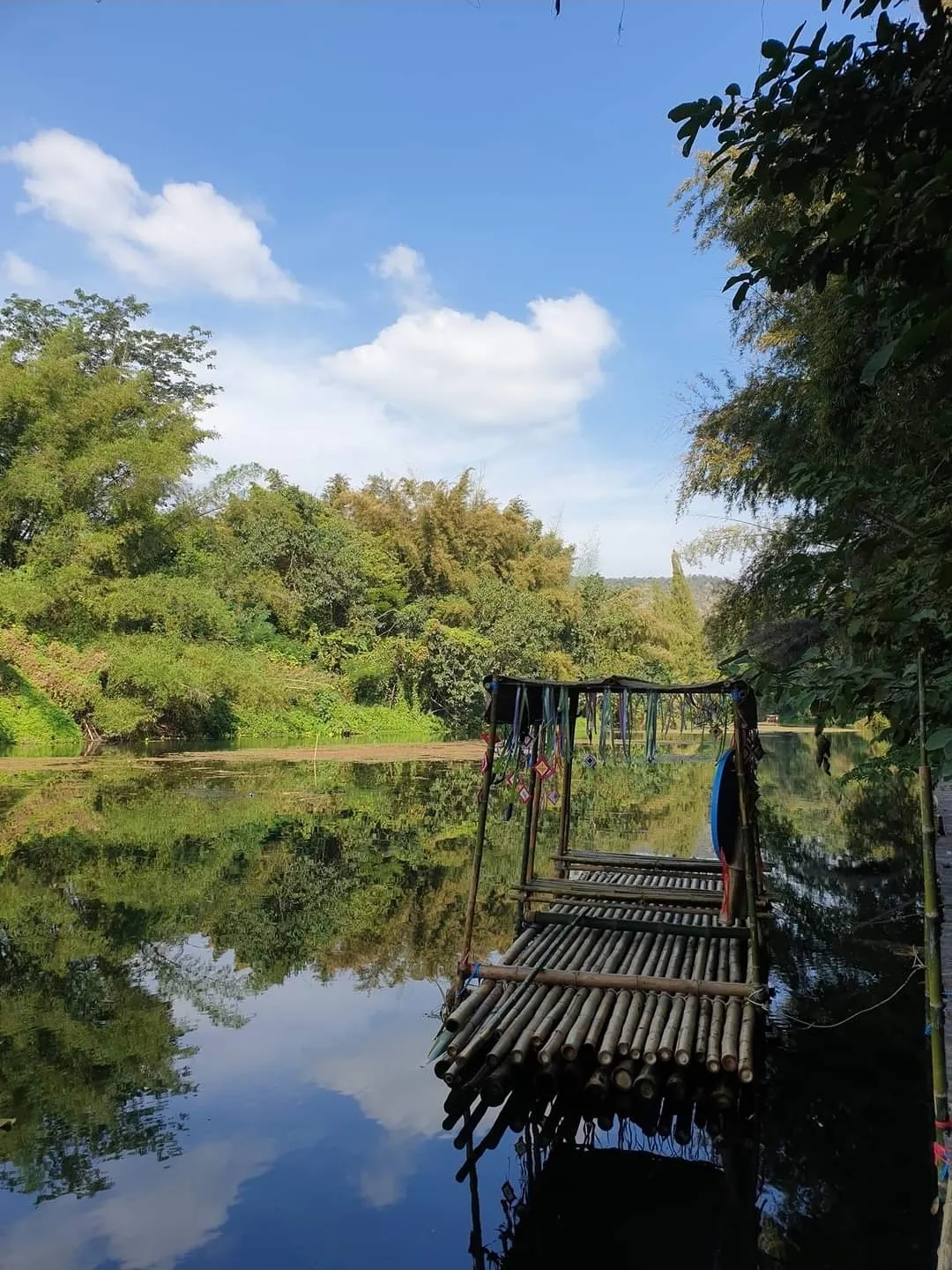 Thai Tea Everyday at Sloth Suanphueng | แกลเลอรีที่โพสต์โดย Thaiteaeveryday | Lemon8