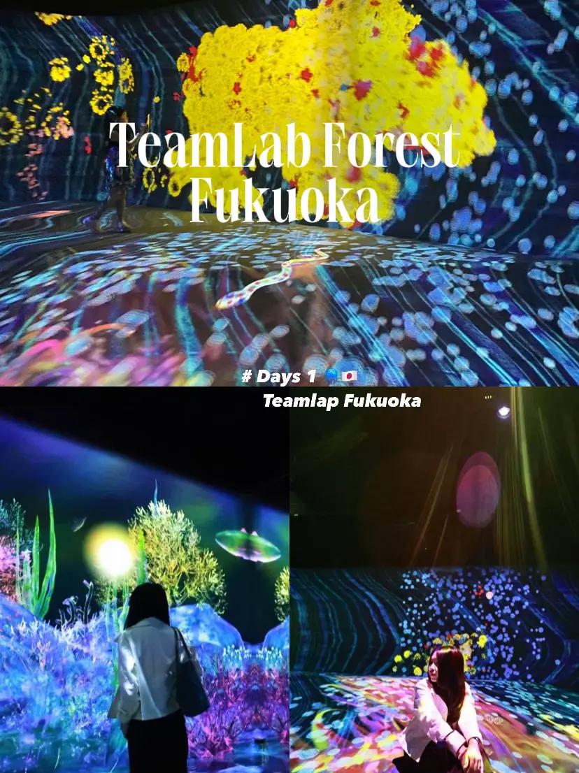 TeamLab Forest Fukuoka | แกลเลอรีที่โพสต์โดย Belle | Lemon8