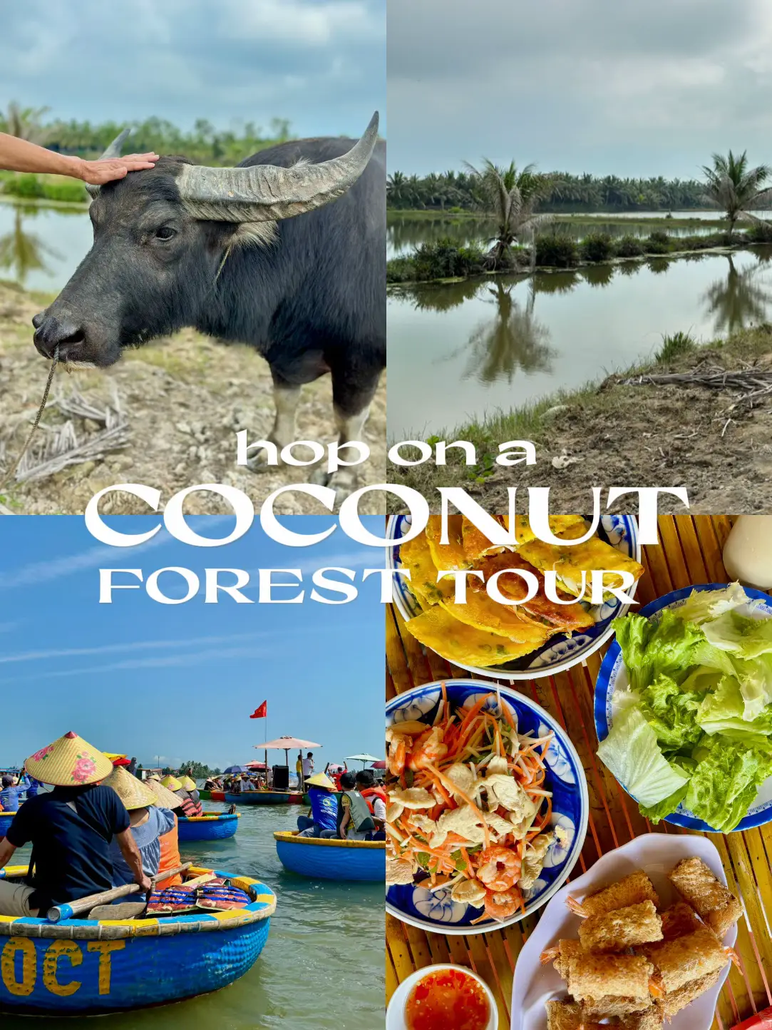 things to do in da nang / hoi an 🇻🇳 | Gallery posted by wei ling ̈ | Lemon8