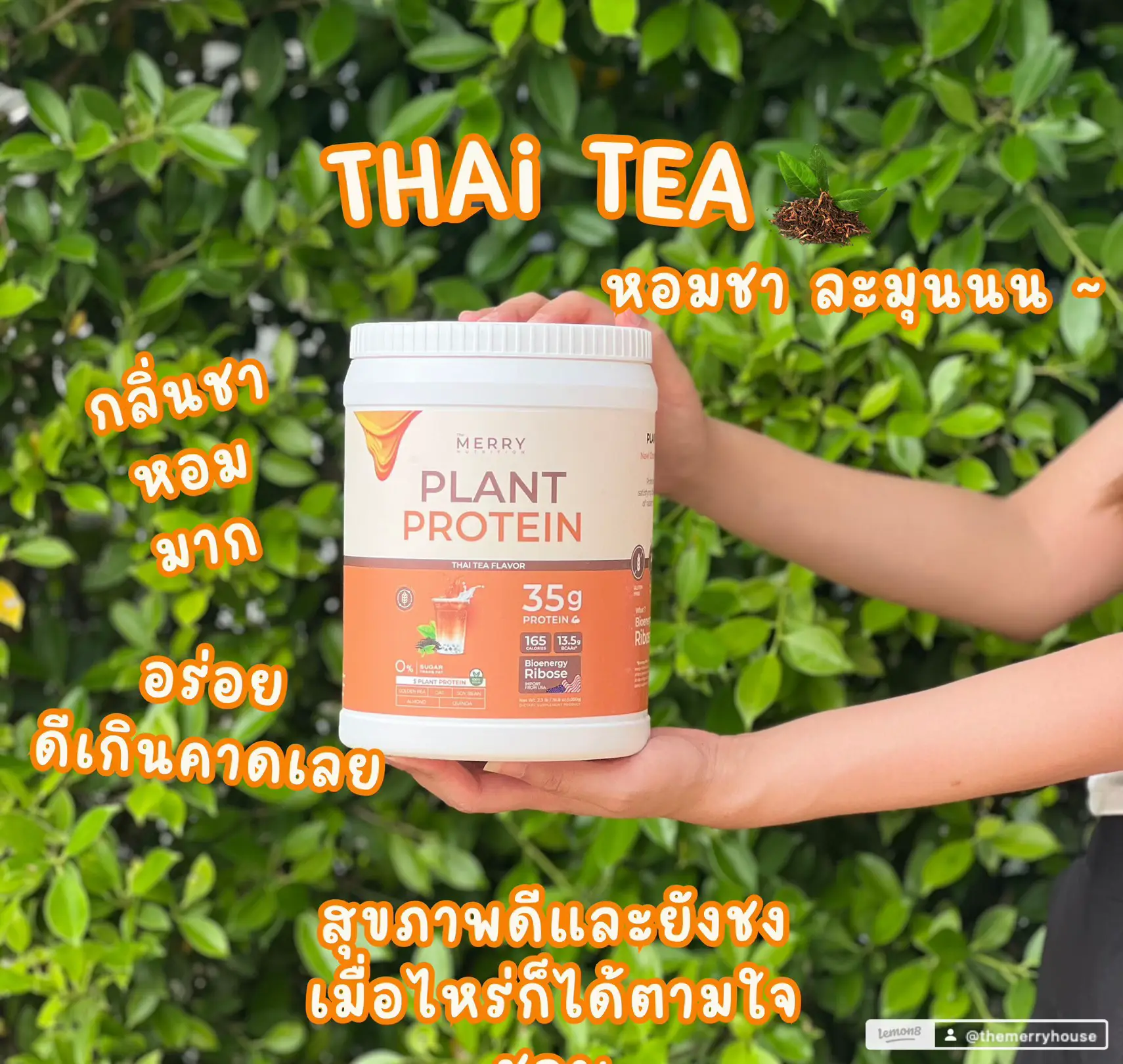 ยกขบวนโปรตีนพืชจากแบรนด์ Merry | แกลเลอรีที่โพสต์โดย The Merry house ...