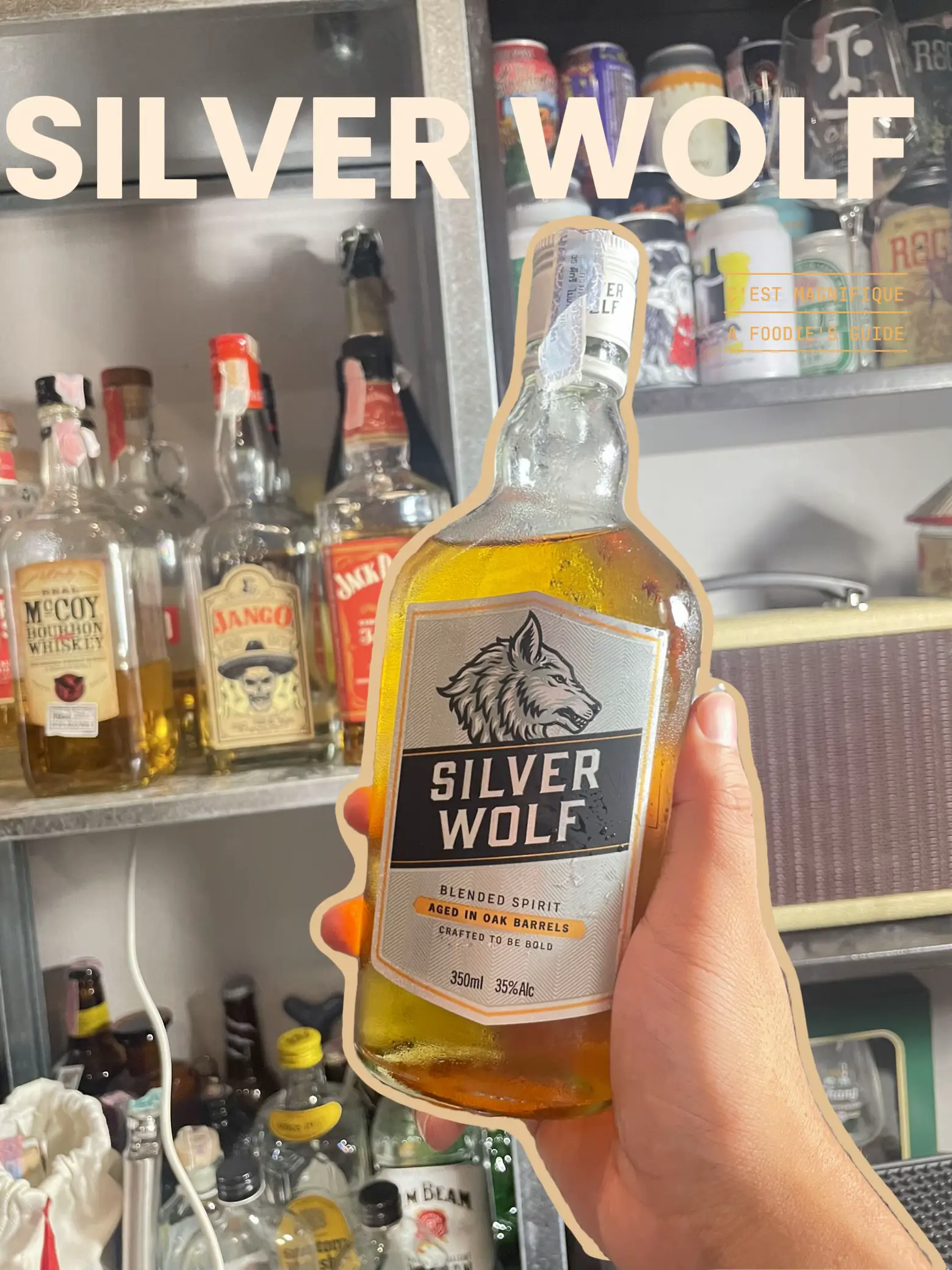Silver Wolf ราคา - การค้นหาใน Lemon8