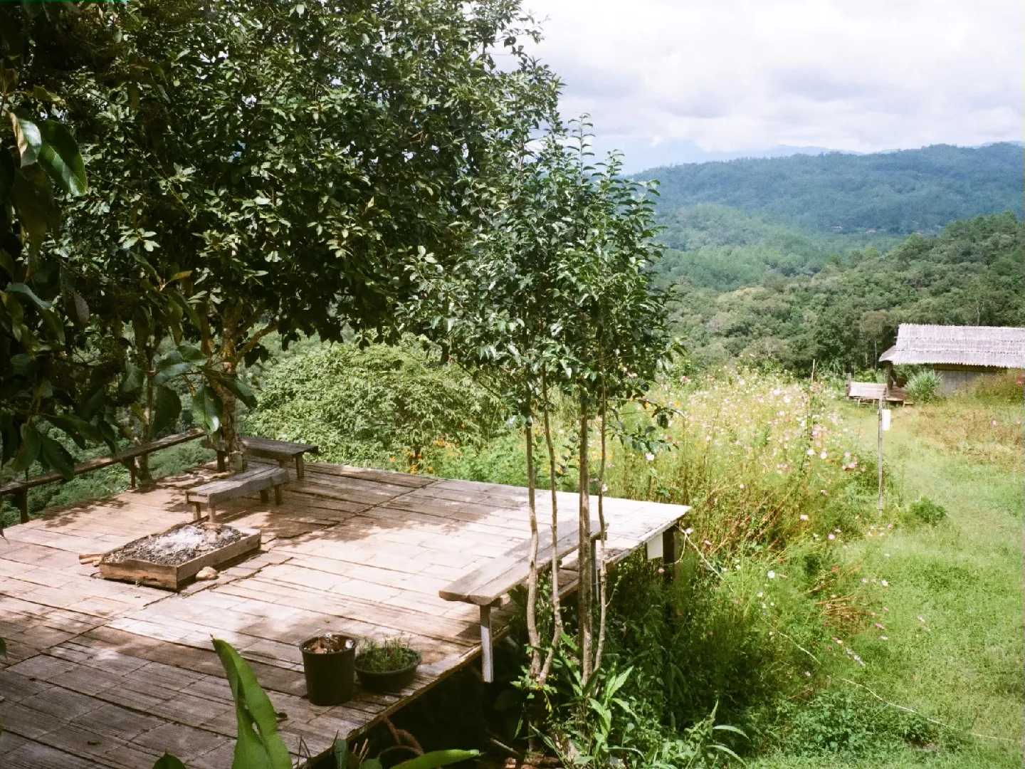 รีวิว Doolaylay - การค้นหาใน Lemon8