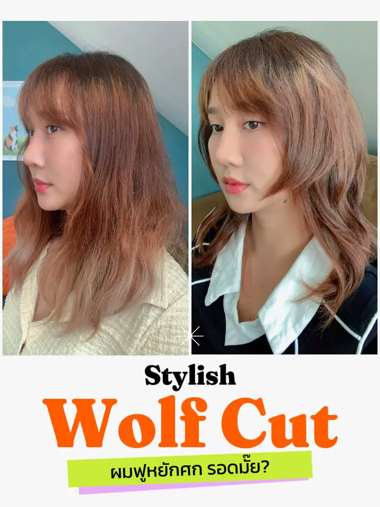 𝐖𝐨𝐥𝐟 𝐂𝐮𝐭 | ฉบับผมฟูหยักศก รอดมั๊ย?? | แกลเลอรีที่โพสต์โดย nonthi.home🏡 ...