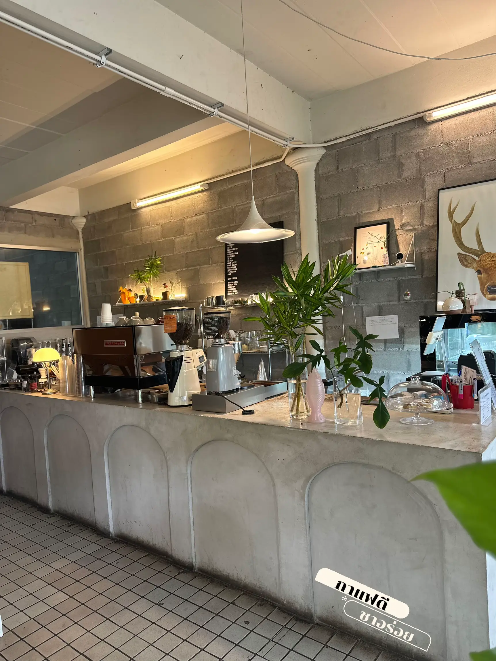 ร้านกาแฟนั่งทำงานเมืองเพชรบุรี | แกลเลอรีที่โพสต์โดย Mint Mintmint | Lemon8