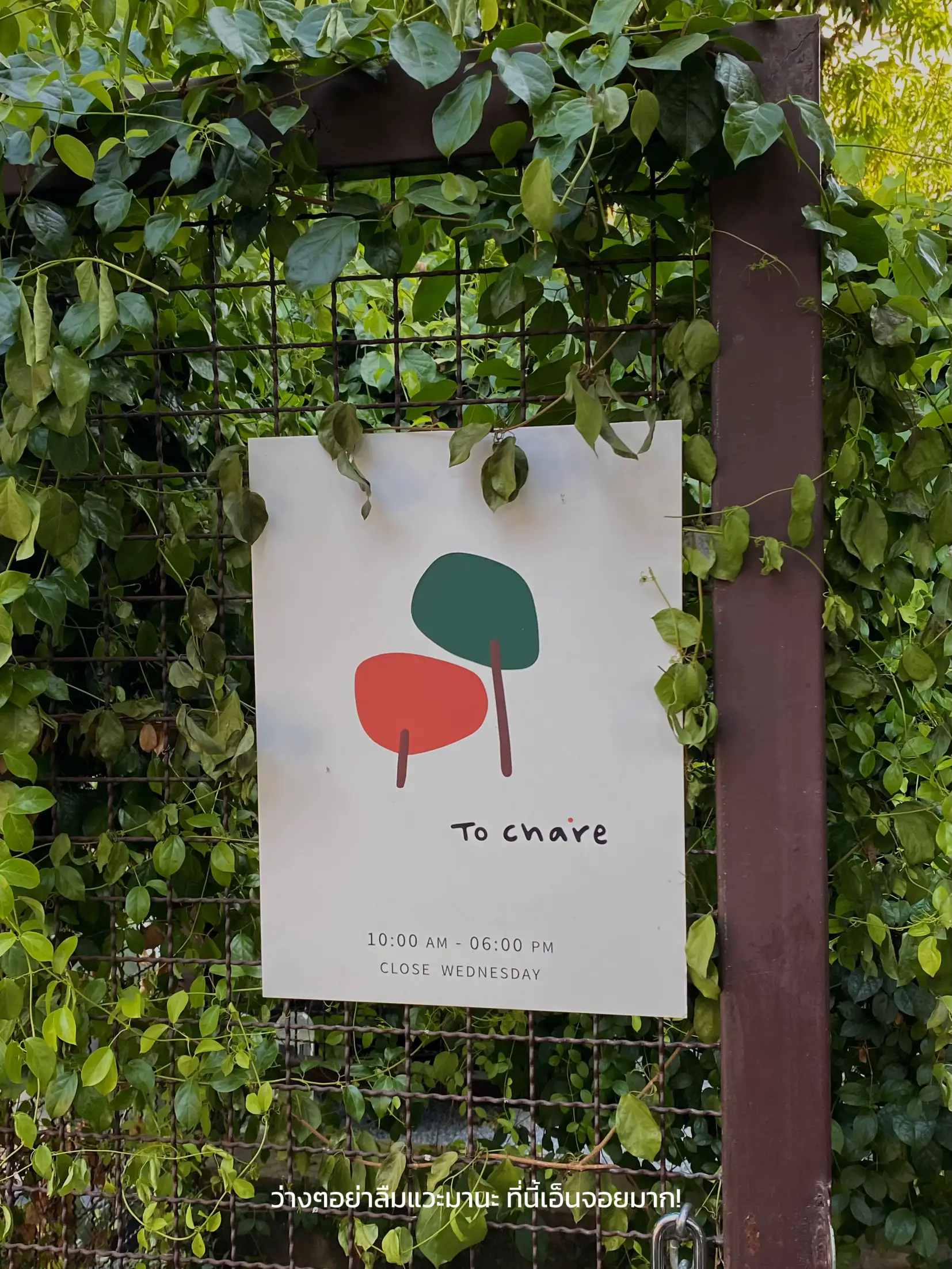 To chare คาเฟ่ที่เหมือนอยู่บ้านเพื่อน 🏠🌳 | แกลเลอรีที่โพสต์โดย 2kging ...