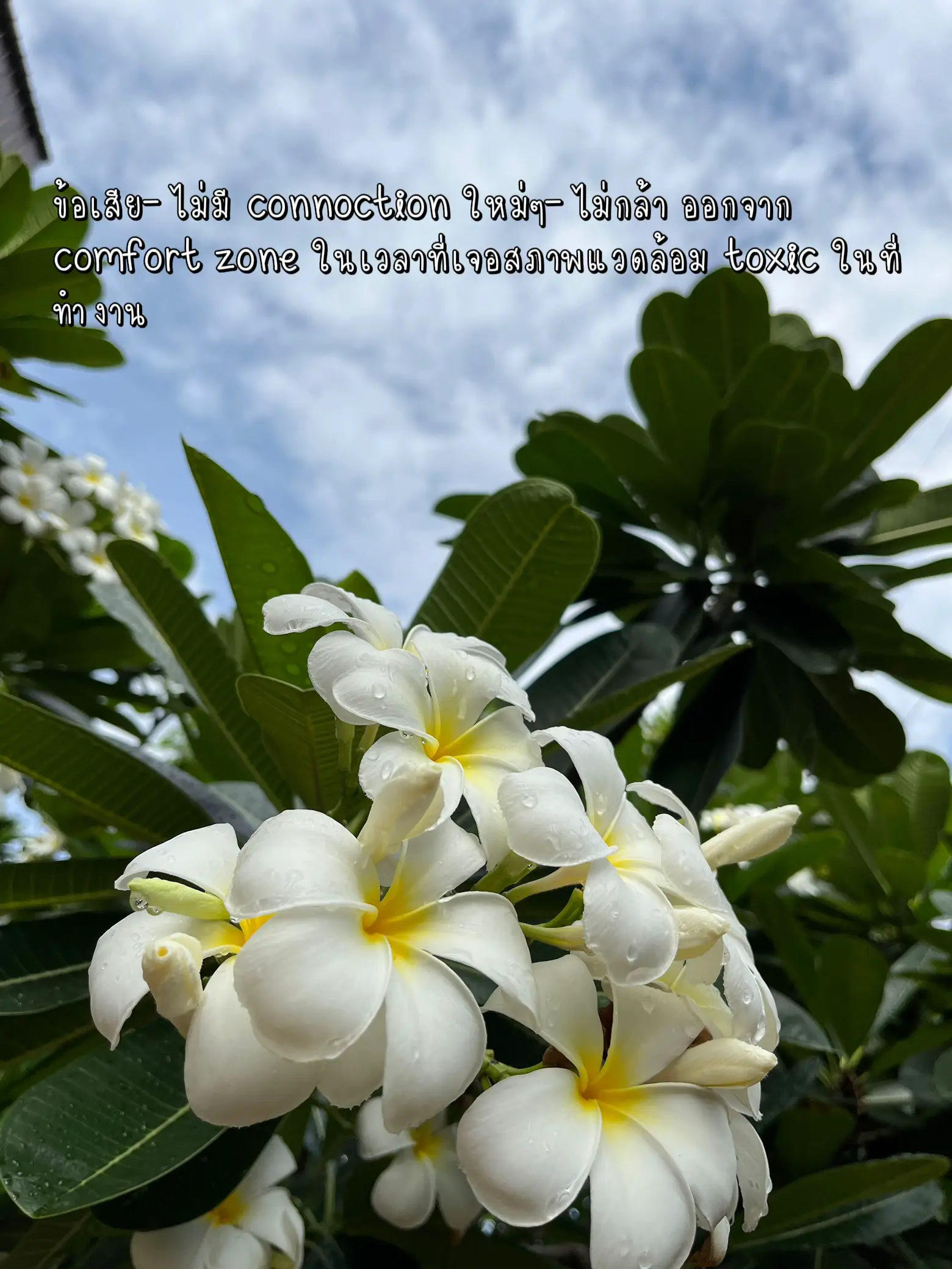 ข้อดี-ข้อเสีย ของการทำงานใกล้บ้าน | แกลเลอรีที่โพสต์โดย Kunพิกัดหน้าBIO | Lemon8