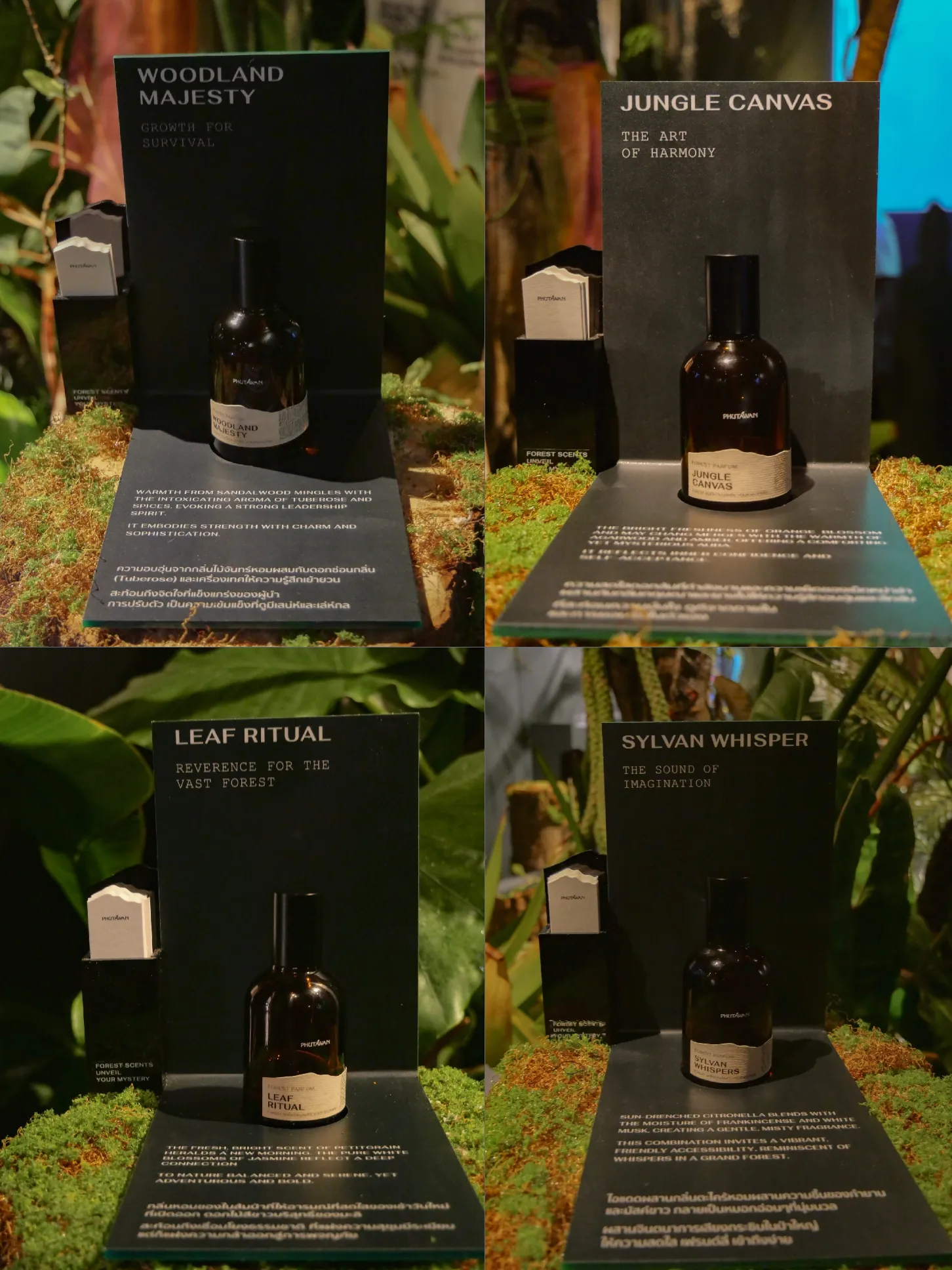 Forest Scent - Unveil Your Mystery ป่า และ น้ำหอม | แกลเลอรีที่โพสต์โดย ...