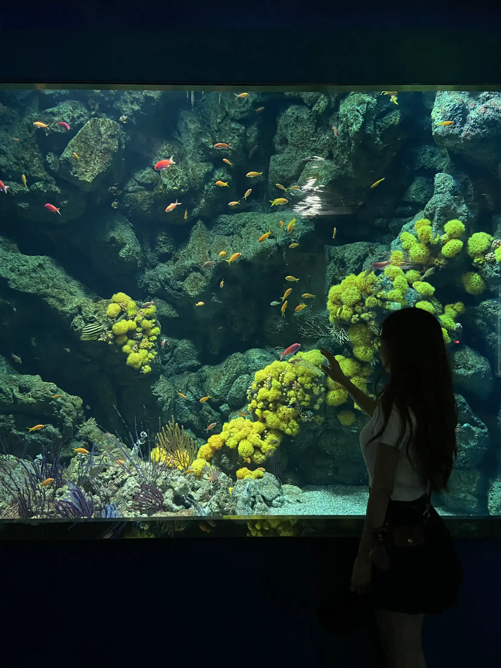 x park aquarium 🦭🐋🪼 | แกลเลอรีที่โพสต์โดย sugarslife🤎 | Lemon8