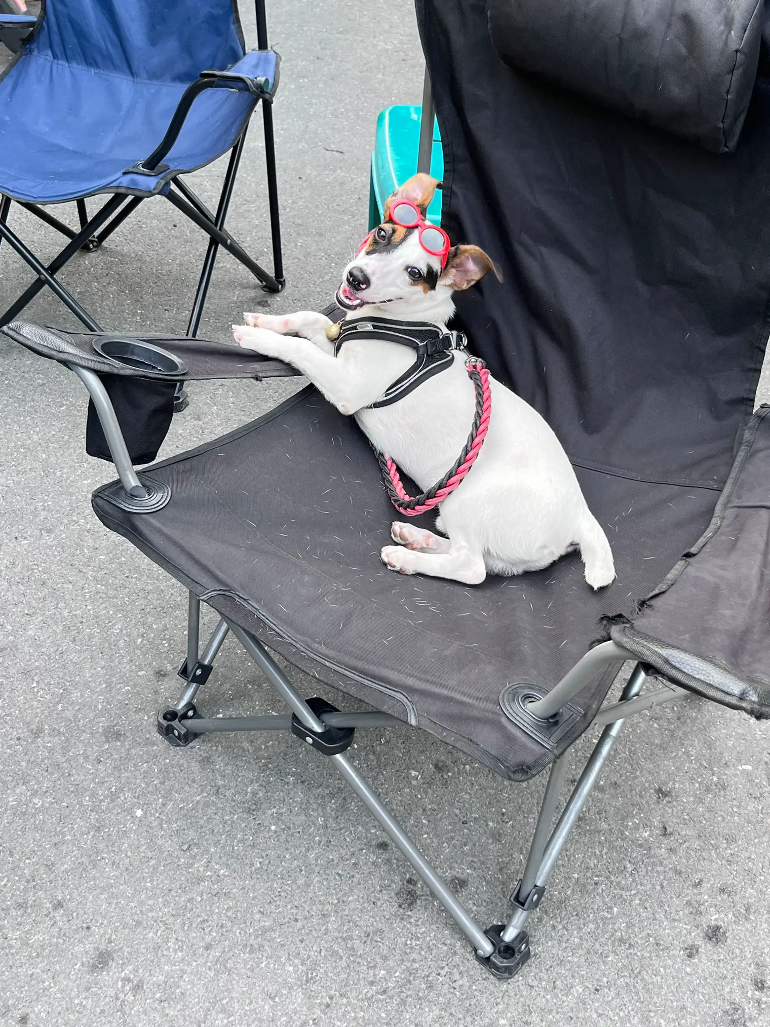 ตลาดช่างชุ่ยมือสอง ตอนเย็น 📺🪆 | แกลเลอรีที่โพสต์โดย Merrypring🎄 | Lemon8