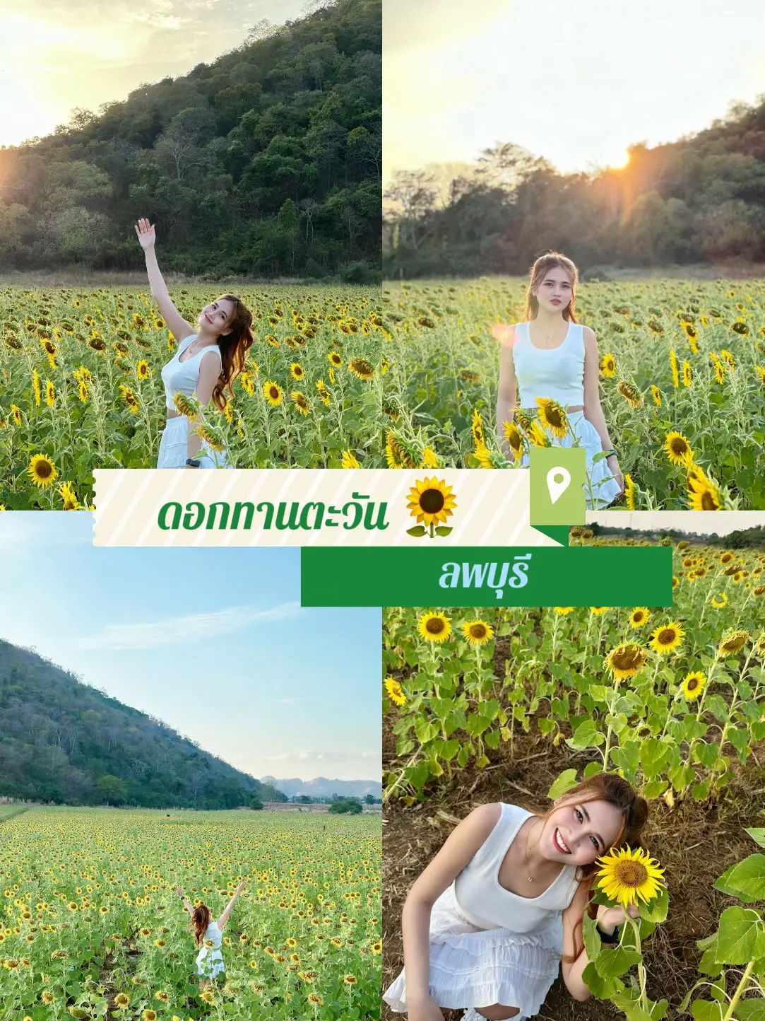 Sunflower🌻 | Gallery posted by KiTaaa | Lemon8