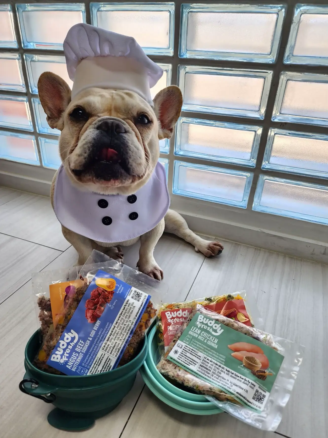 Buddy Fresh อาหารปรุงสุกของน้องหมา 😋 | แกลเลอรีที่โพสต์โดย Lattewander ...