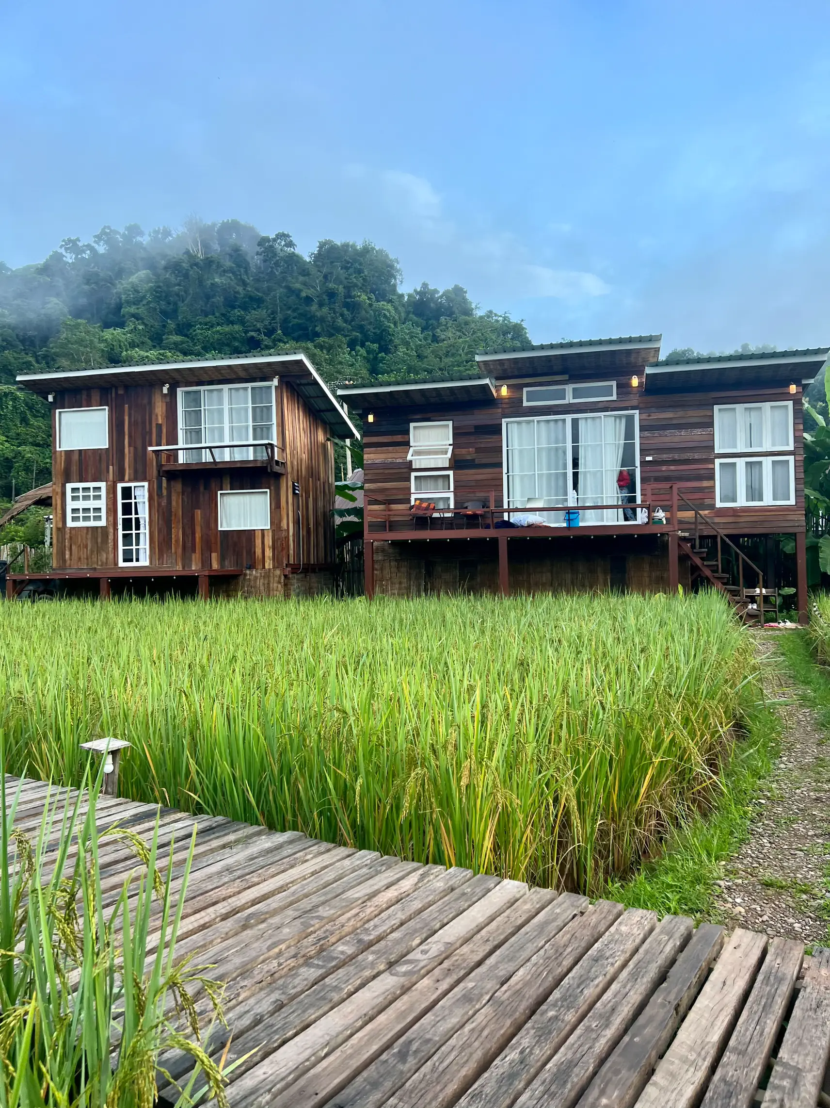 ที่พัก สะปัน คีรีแคมป์ น่าน | แกลเลอรีที่โพสต์โดย Noona_aaa | Lemon8