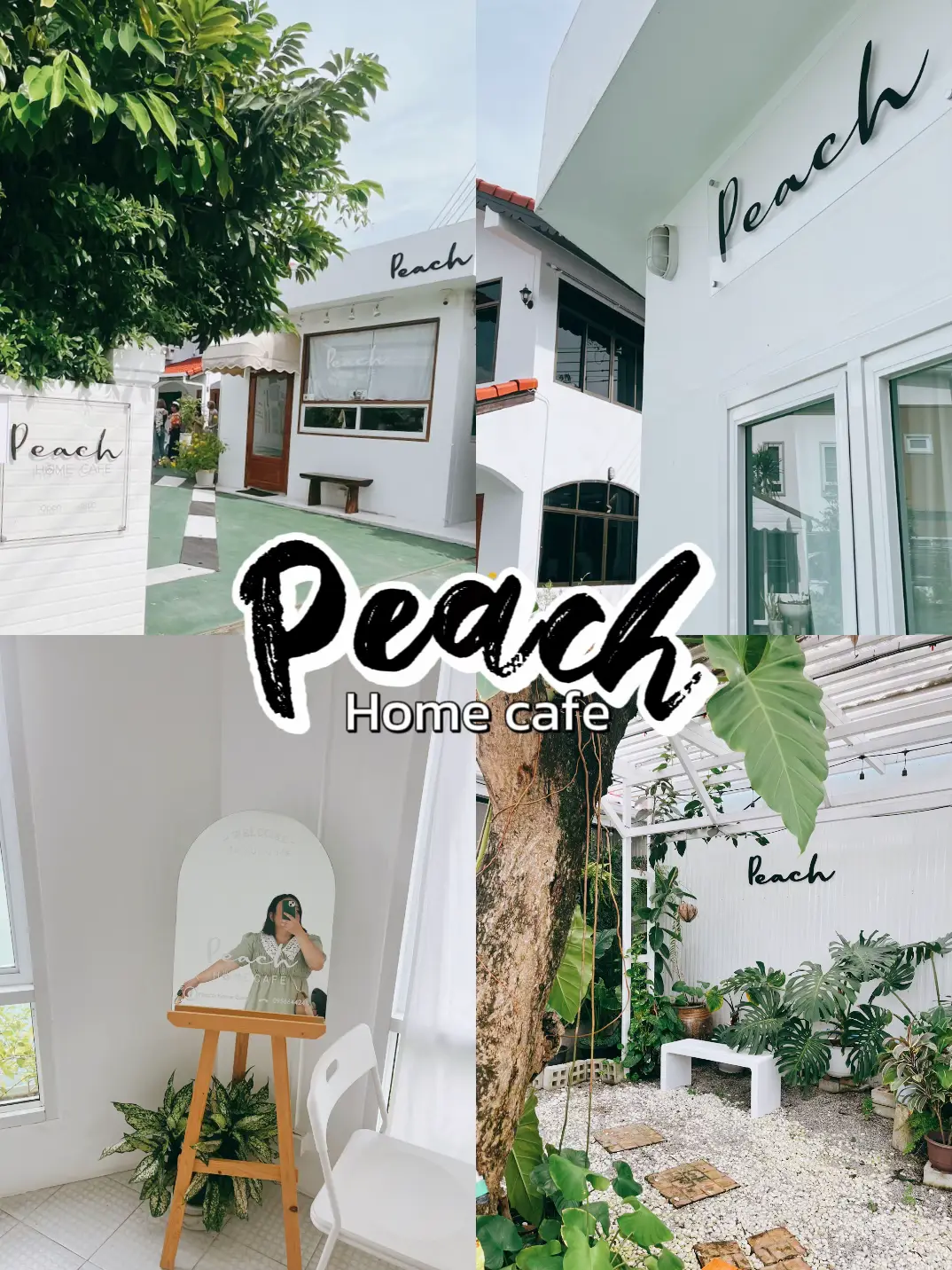 Peach Home Cafe | คาเฟ่ลับท้ายซอยมิตรภาพ 23 | แกลเลอรีที่โพสต์โดย ...