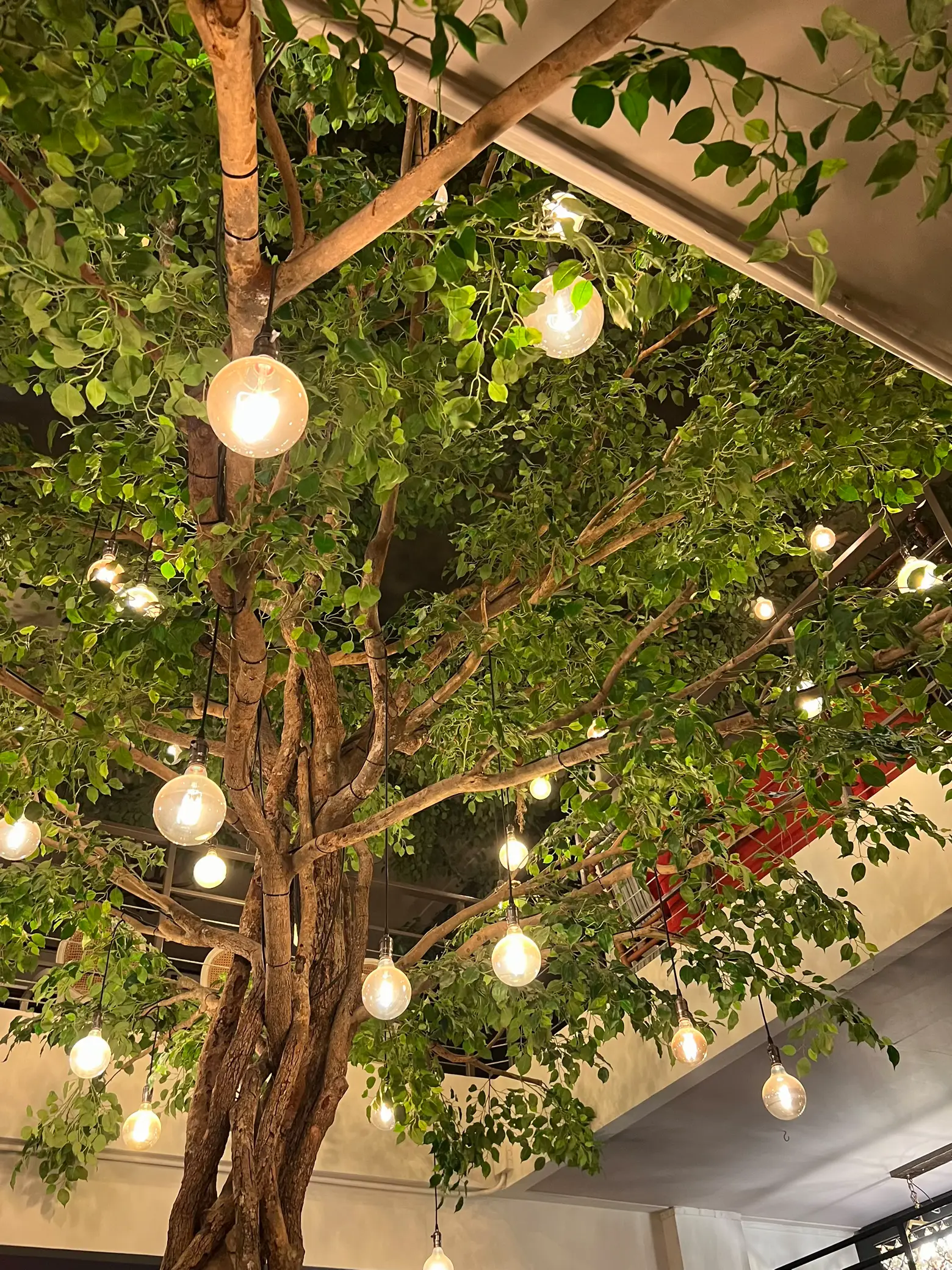 Jirakaan Restaurant (ร้านอาหารจิรกาล) | แกลเลอรีที่โพสต์โดย oll.i.like ...