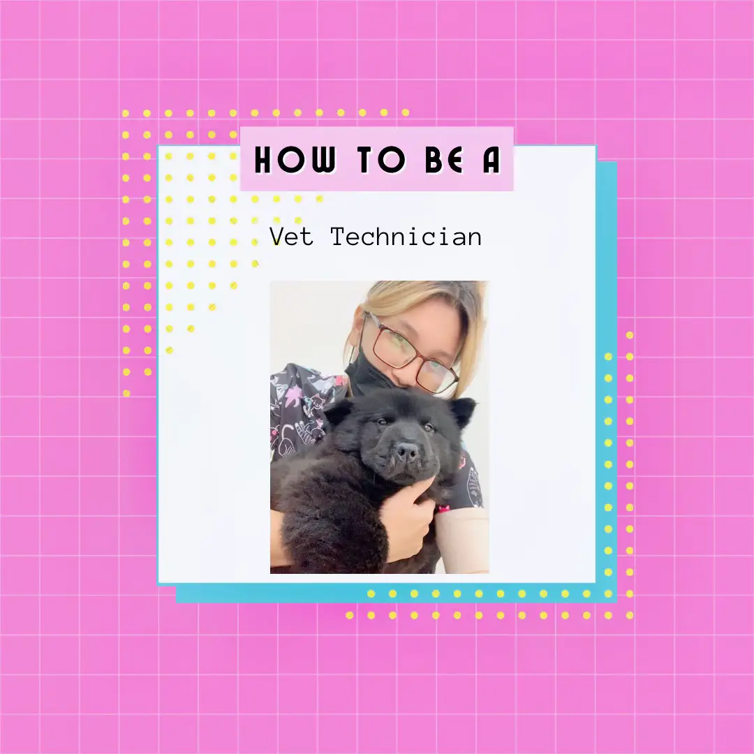 vet student - Lemon8 Search