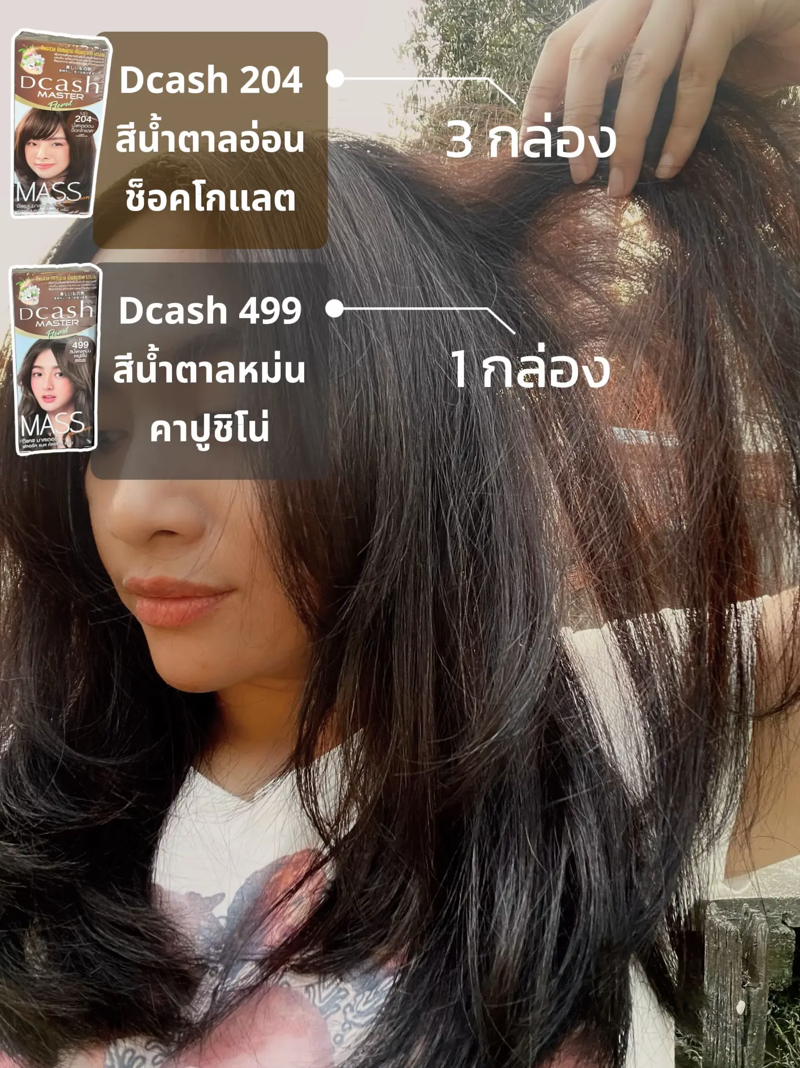 สีผมเสริมดวงการเงิน💵💰2024 คนราศีสิงห์♌️ | แกลเลอรีที่โพสต์โดย Nackngai แน็คไง | Lemon8