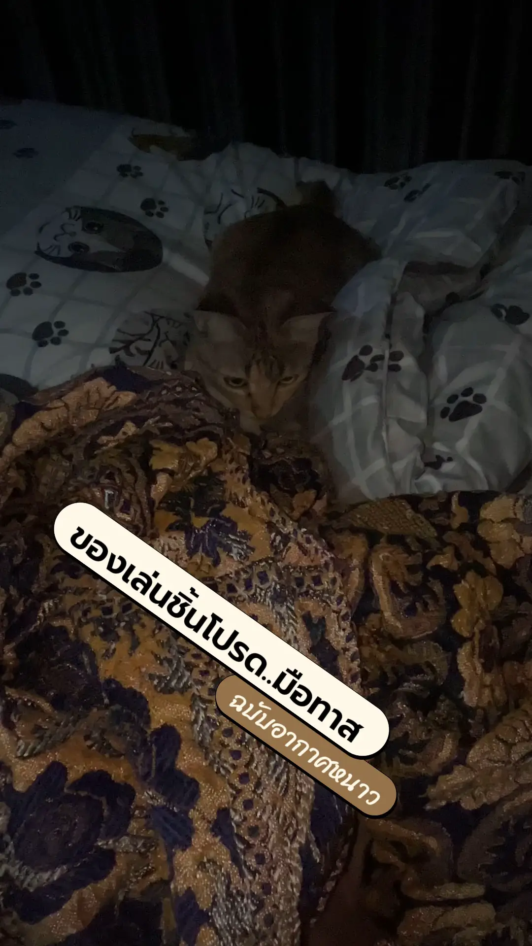 ของเล่นชิ้นโปรด | วิดีโอที่เผยแพร่โดย Thida.. | Lemon8